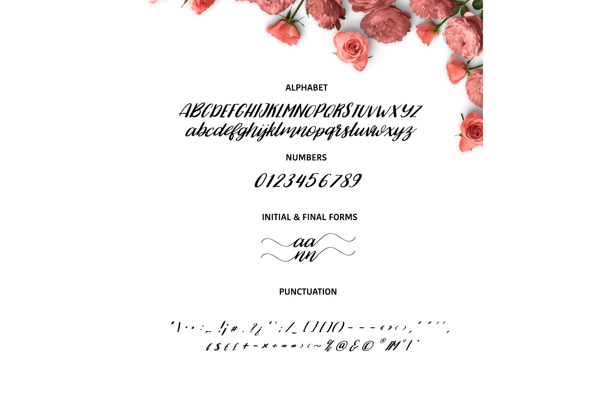 Selena (11411) | Script | Font Bundles