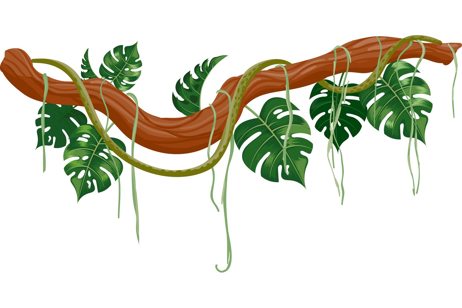 Types Of Jungle Vines