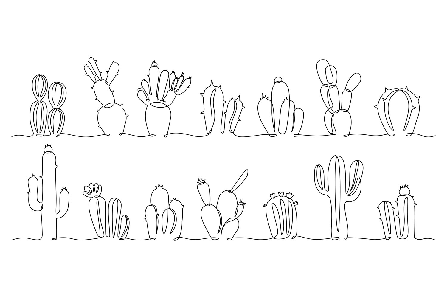 Desert Plant Drawing