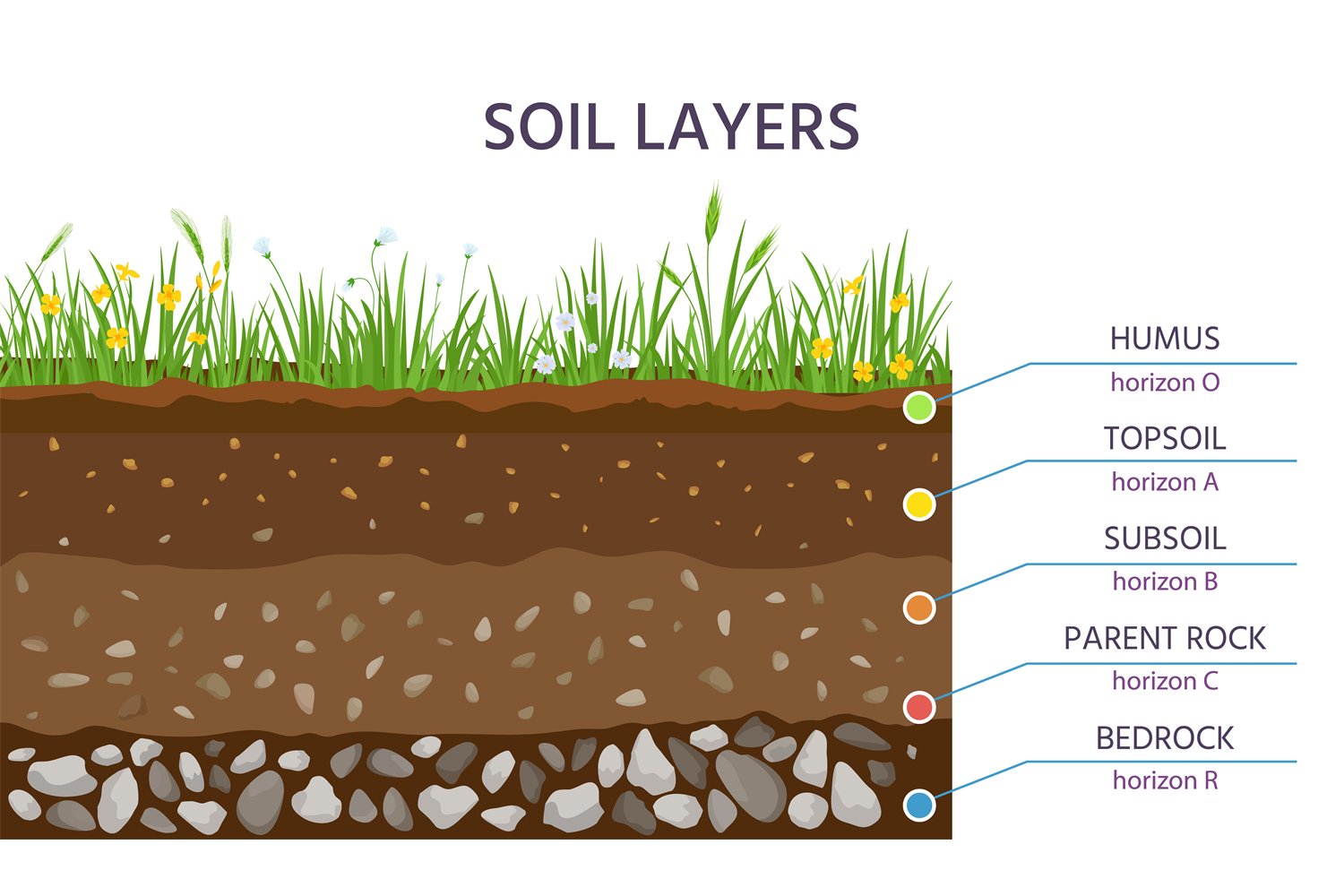 Soil structure layers, ground cross section education diagra (1824493 ...