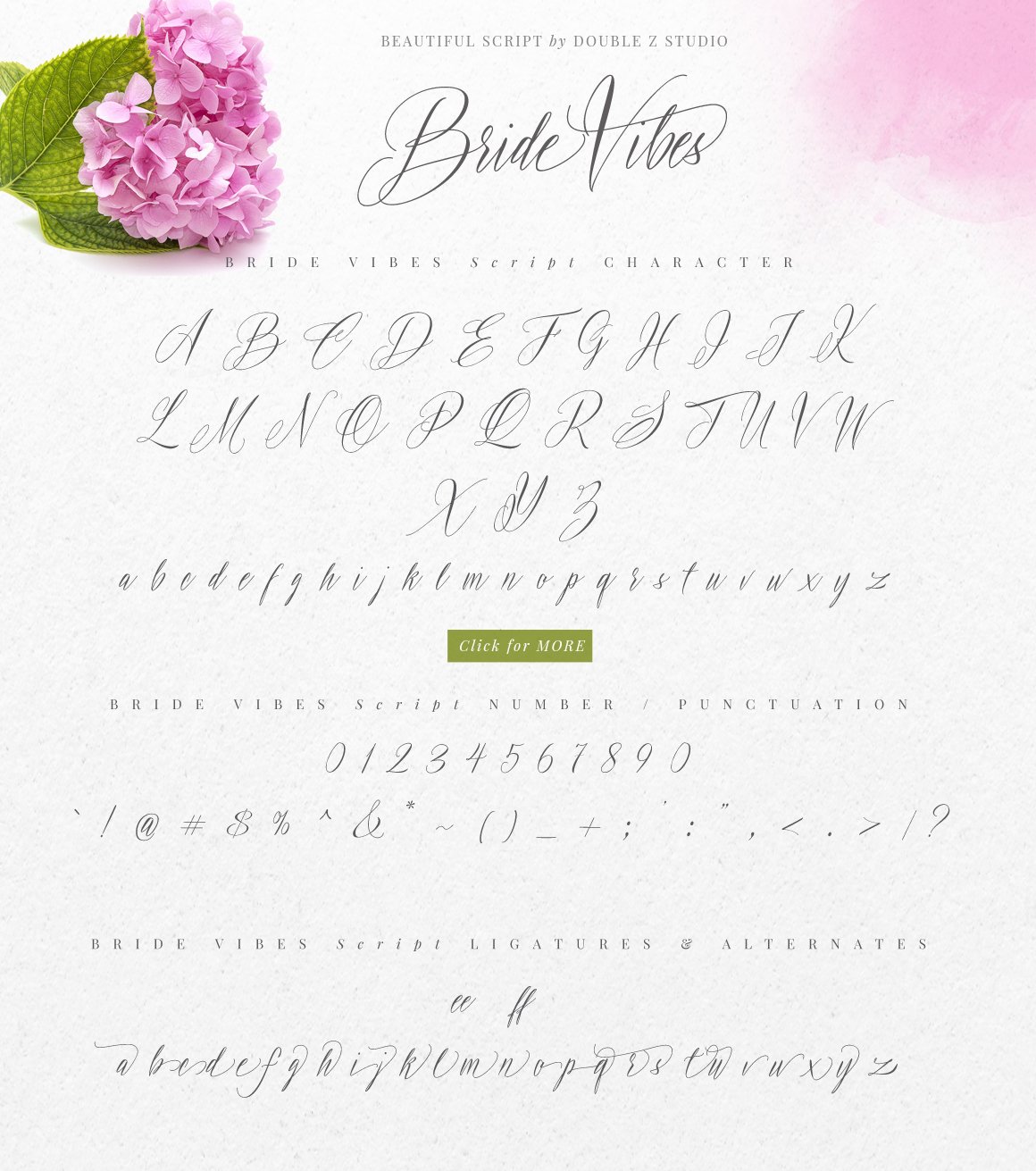 Bride Vibes Script (91821) | Script | Font Bundles