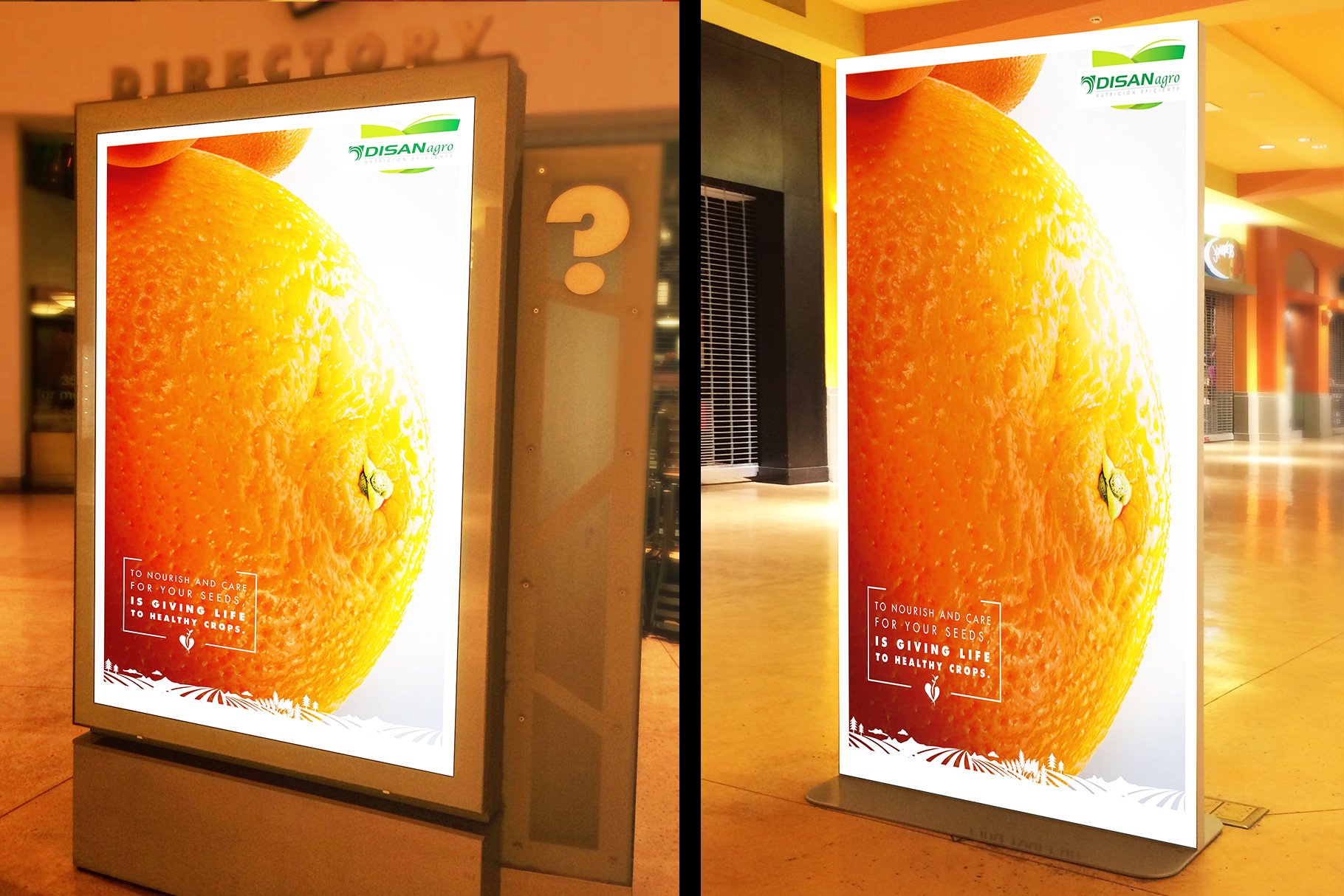 Large Poster Mockup Templates (315048) | Mockups | Design Bundles