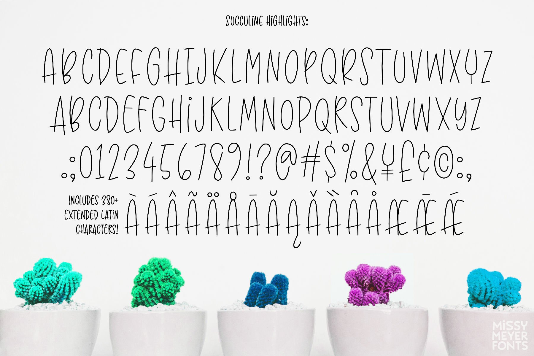 SuccuLine - single-line hairline version of Succulent font! (1237994 ...