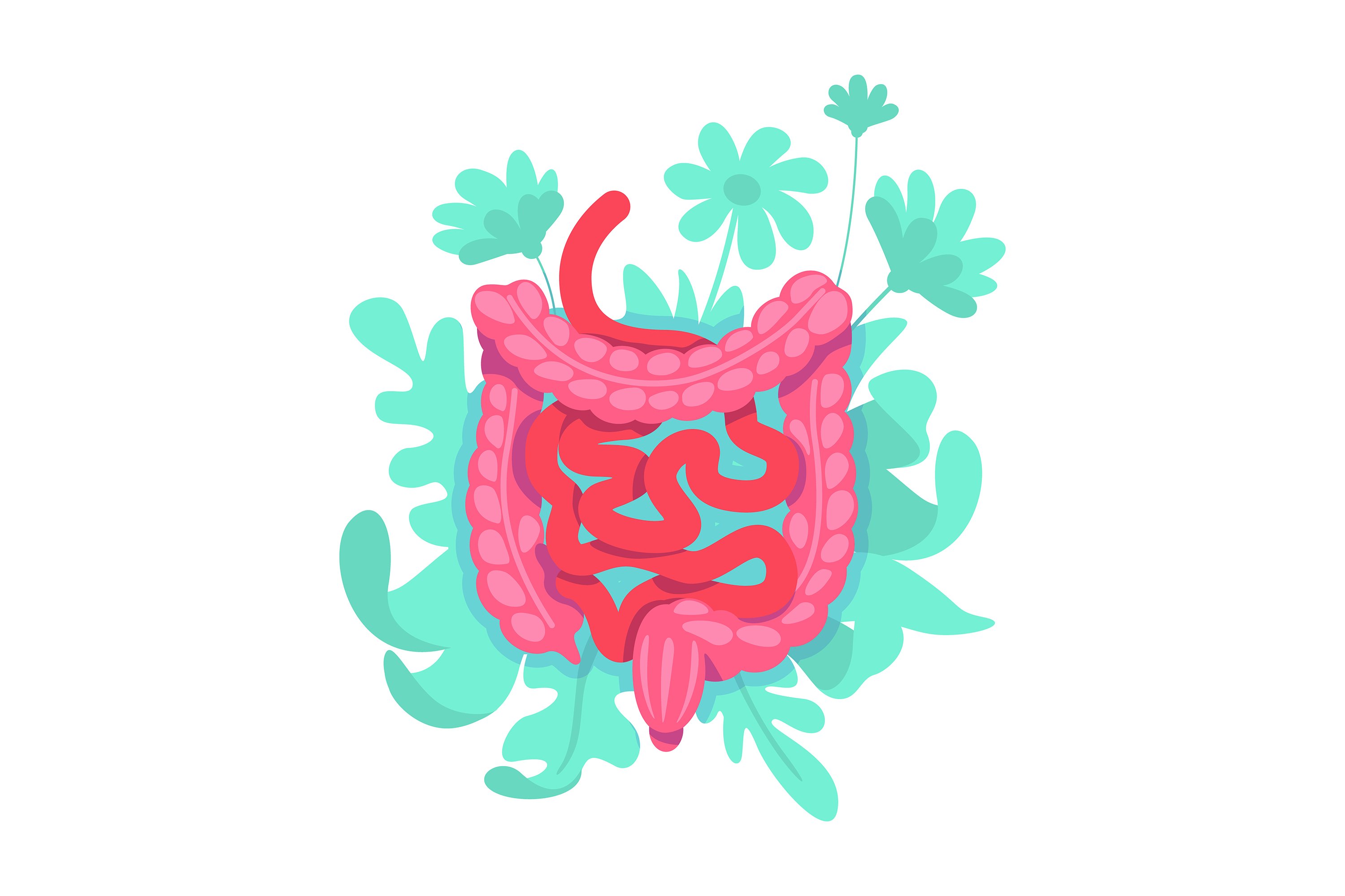 Large intestine flat concept vector illustration (1191887 ...