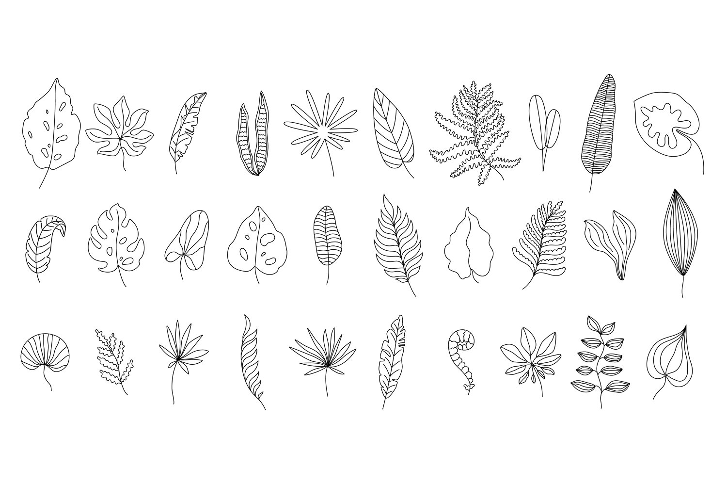 Leaf Line Design