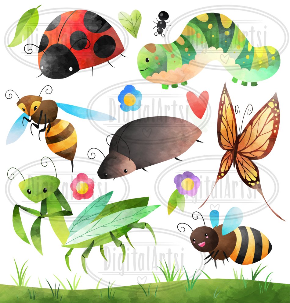 Watercolor Bugs Clipart (158925) | Illustrations | Design Bundles
