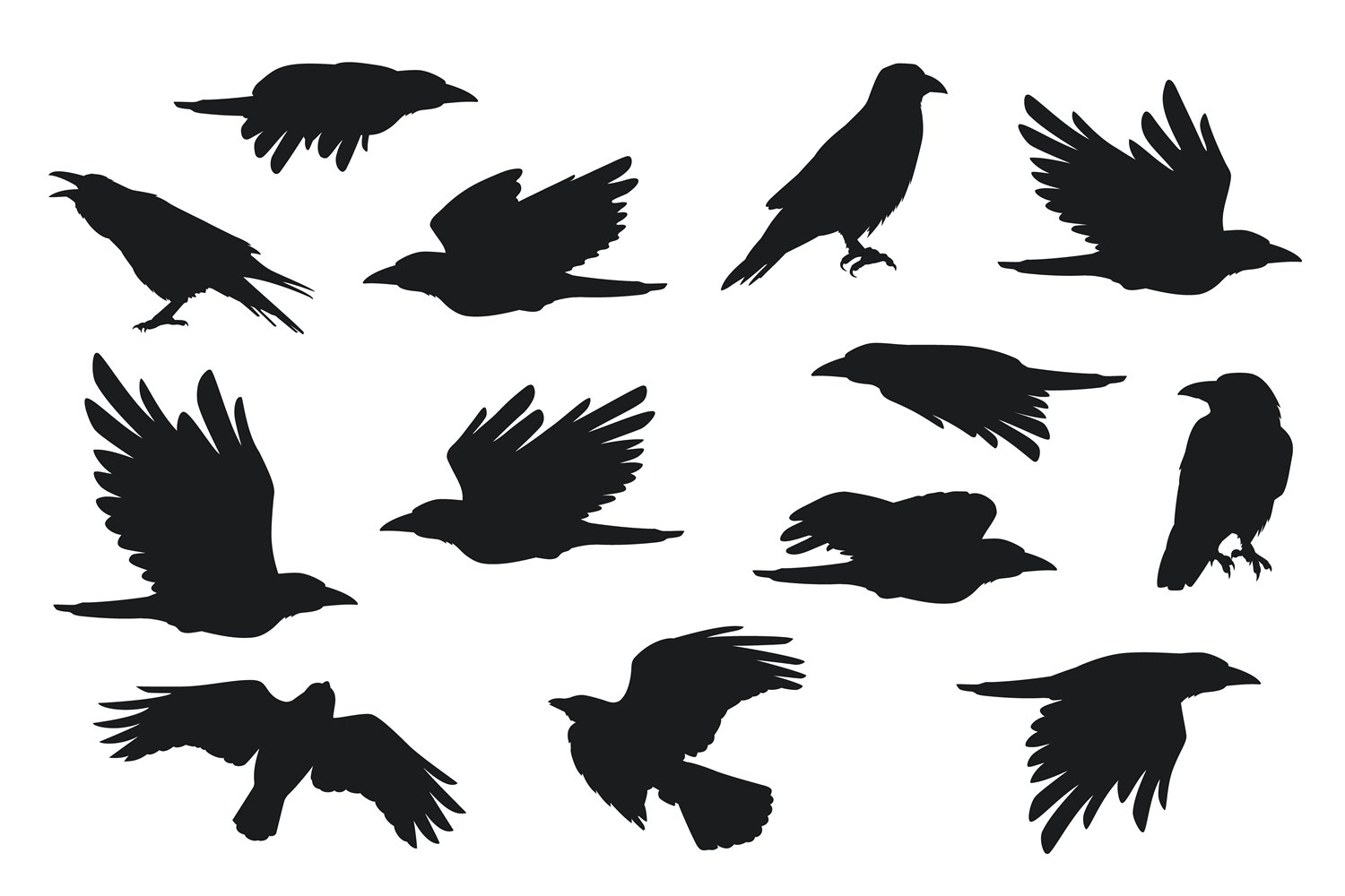Ravens Flying
