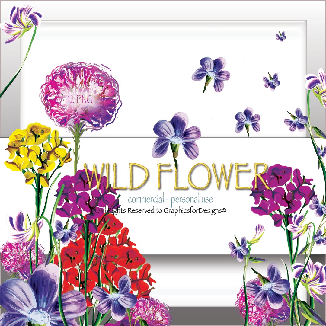 Watercolor Wildflowers (25064) | Illustrations | Design Bundles