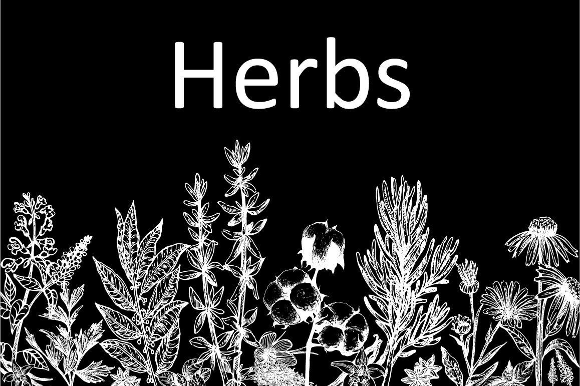 Herbs and Spices (540705) | Illustrations | Design Bundles
