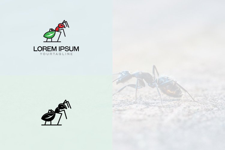 Little Ant Small Insect Abstract Leaf Nature Logo