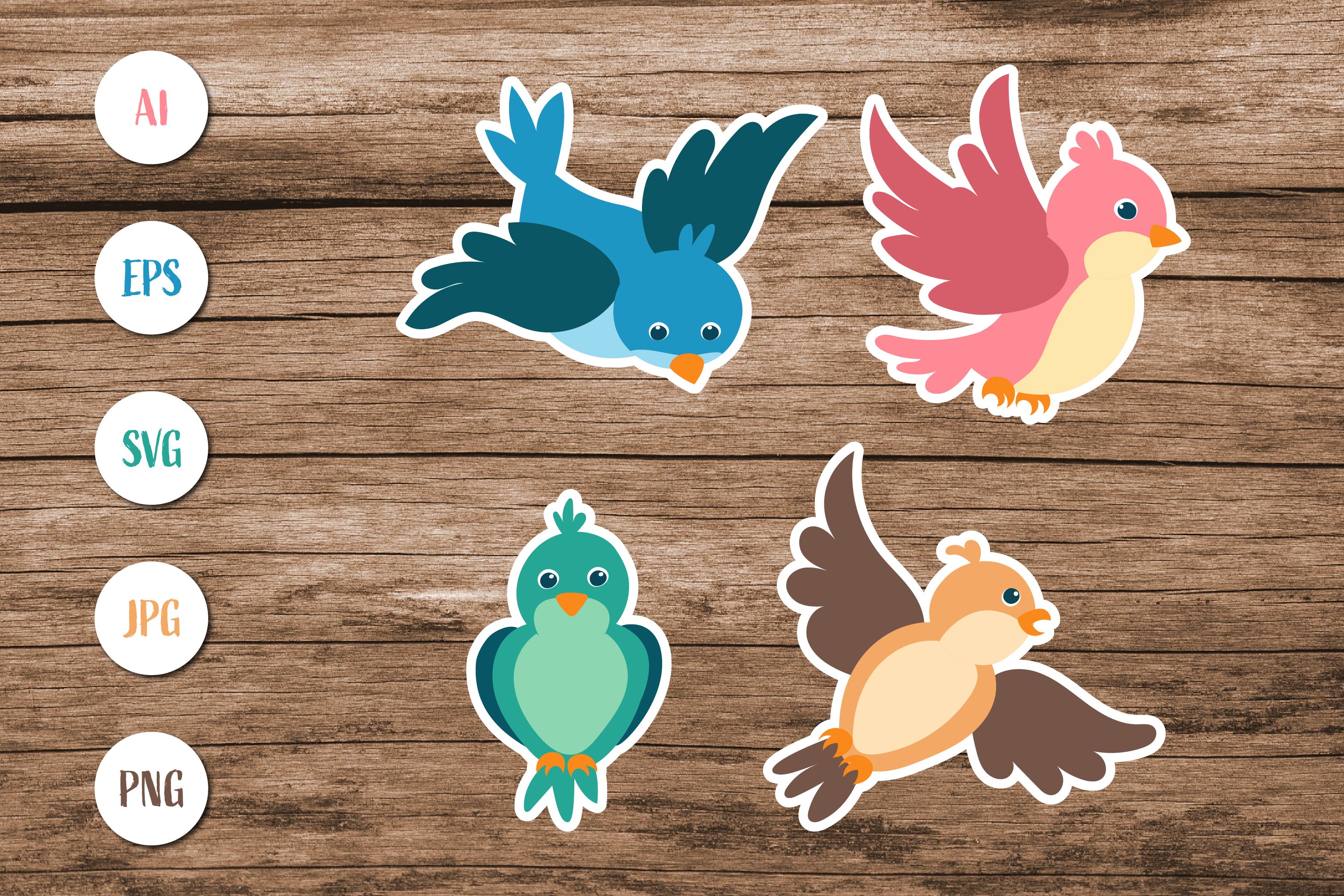 Cute Bird Designs