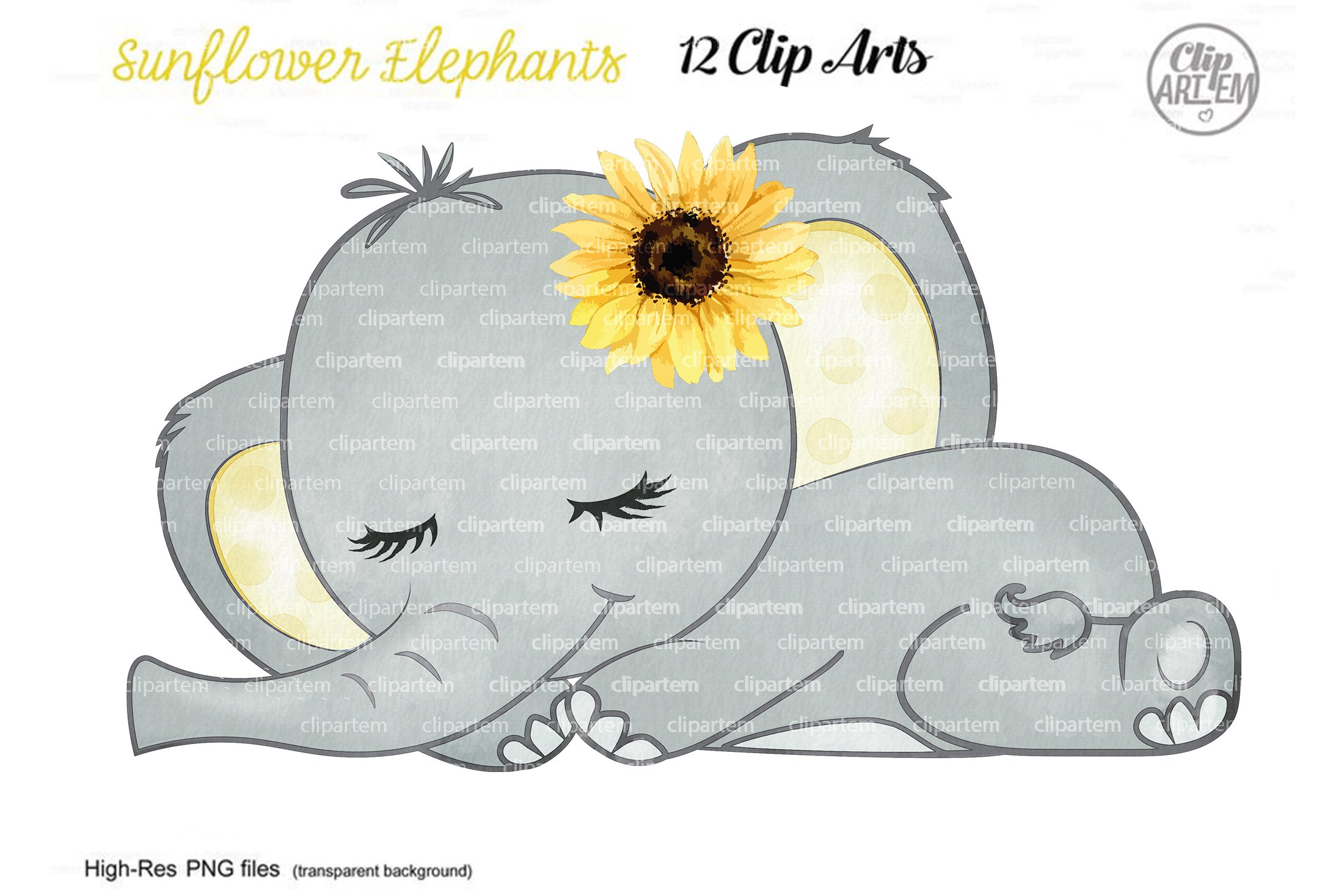 Elephant with Sunflower Watercolor Clip art, 12 PNG (1103920 ...