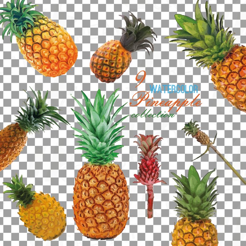 Watercolor Pineapple clip art pack, watercolor ananas clip art exotic ...