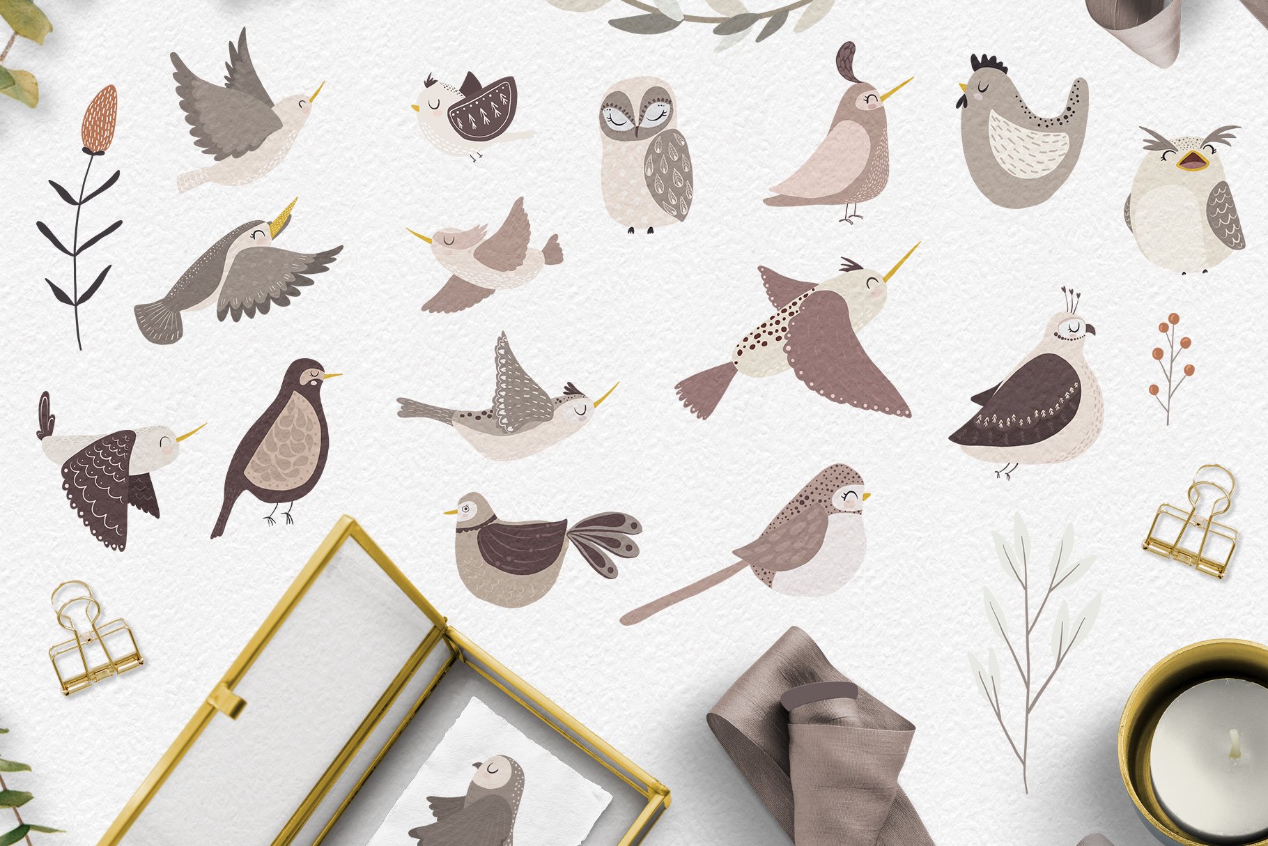 Spring birds set