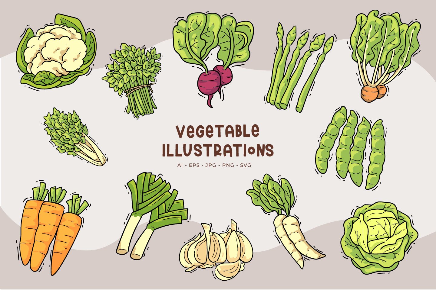 Vegetable illustrations