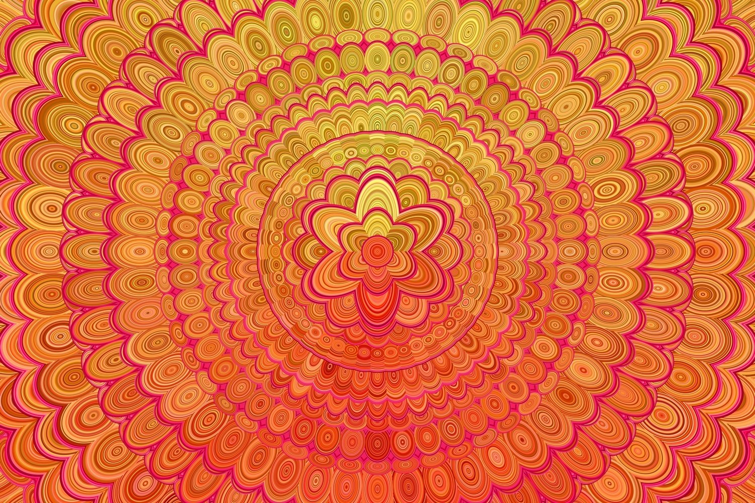 6 Mandala Backgrounds (317767) | Backgrounds | Design Bundles