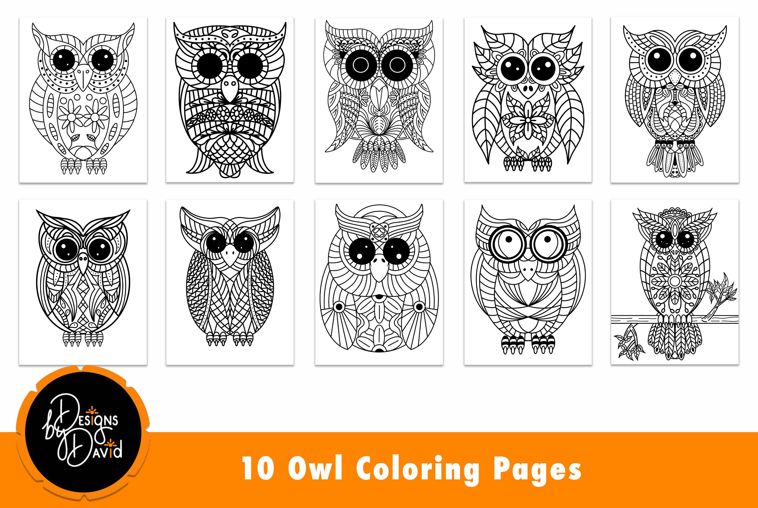Owl Coloring Pages (561573) | Coloring Pages | Design Bundles