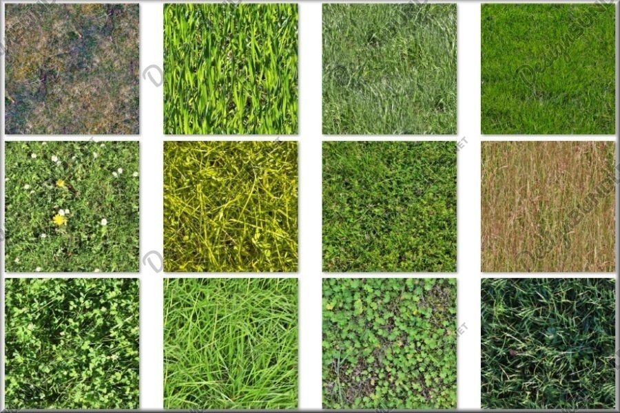 Grass Texture High Resolution