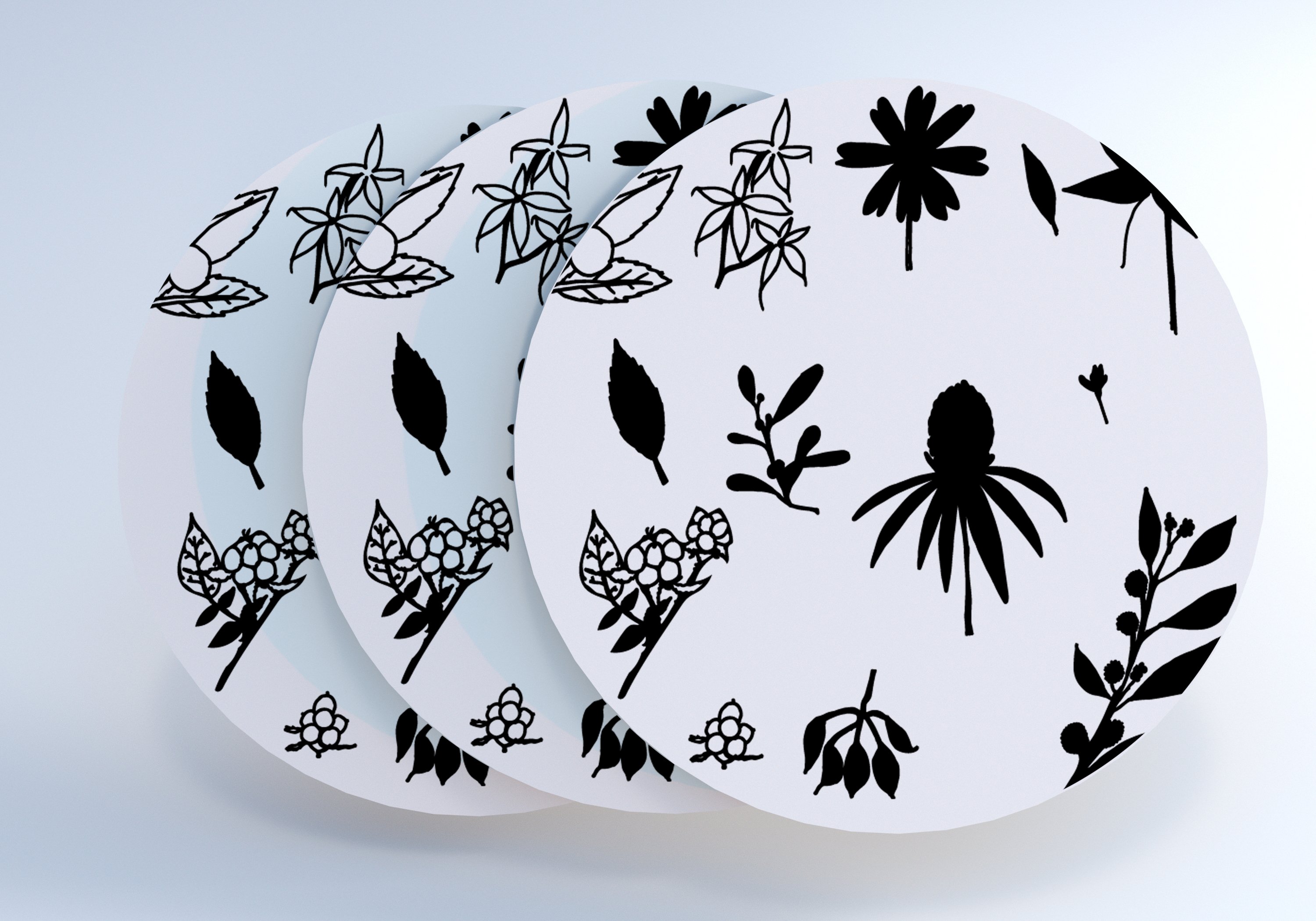 Australian Flowers cut file (985080) | Paper Cutting | Design Bundles