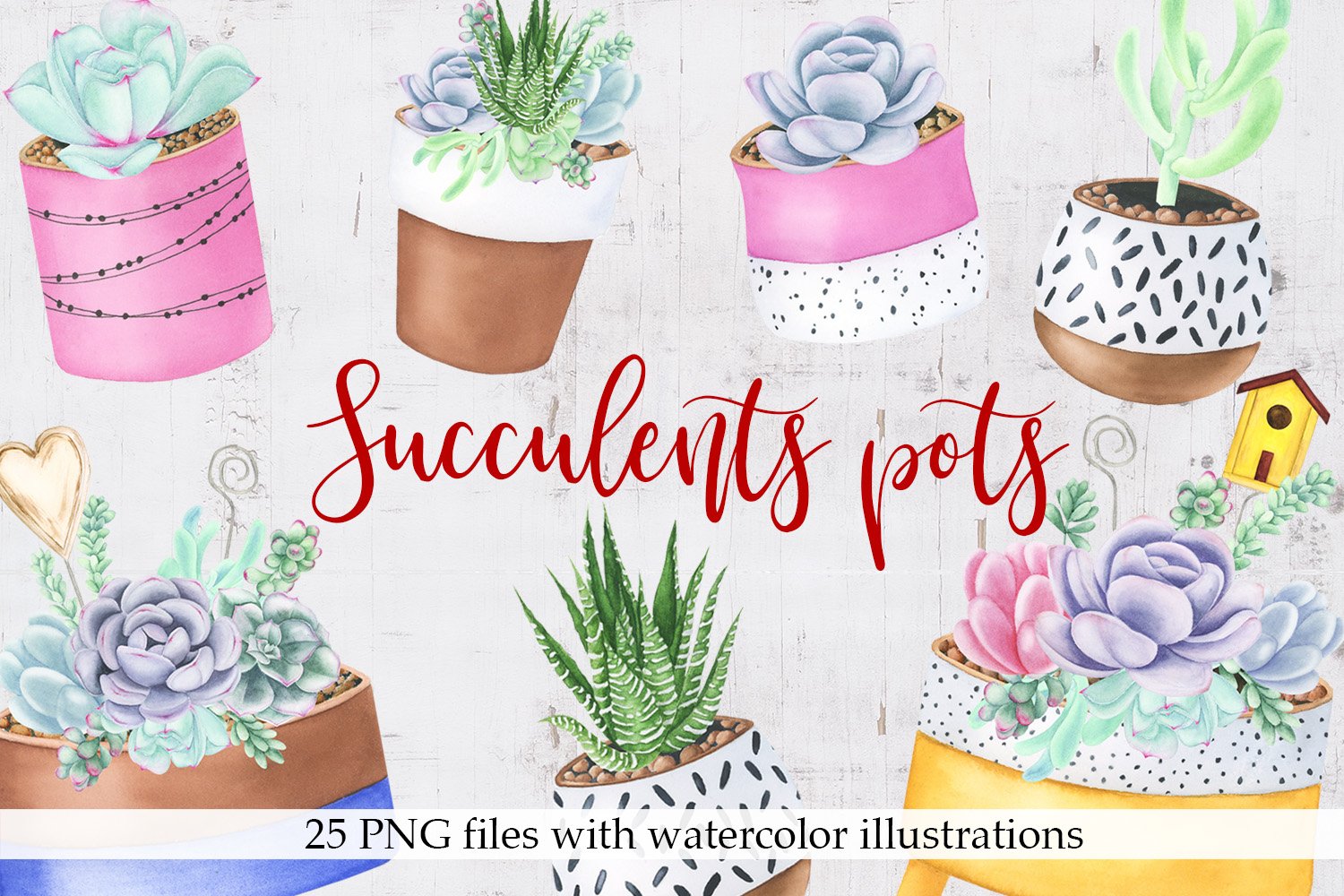 Watercolor Succulents Pots Clipart (260158) | Illustrations | Design ...