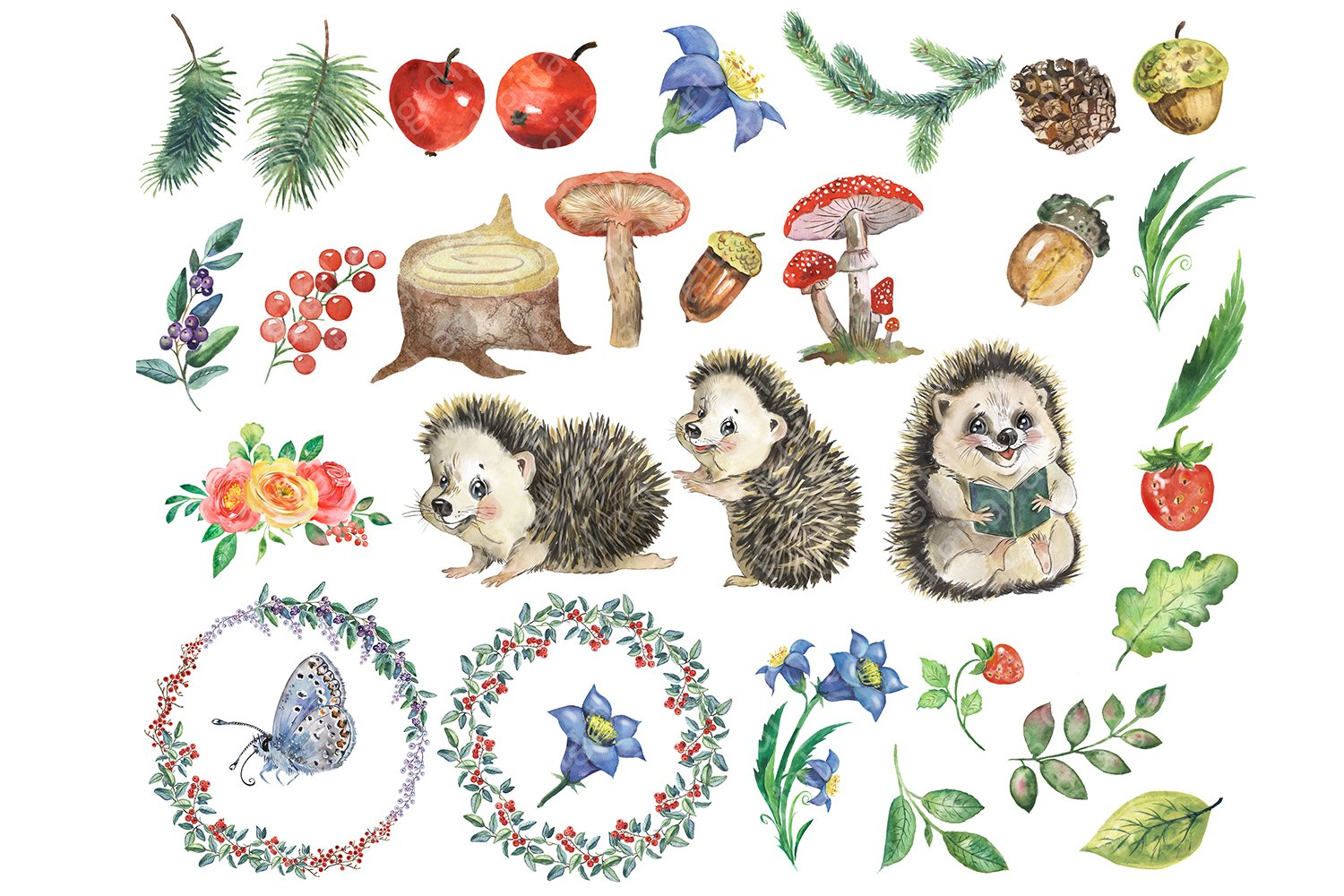 Hedgehog family watercolor clipart, cute little hedgehog (655054 ...