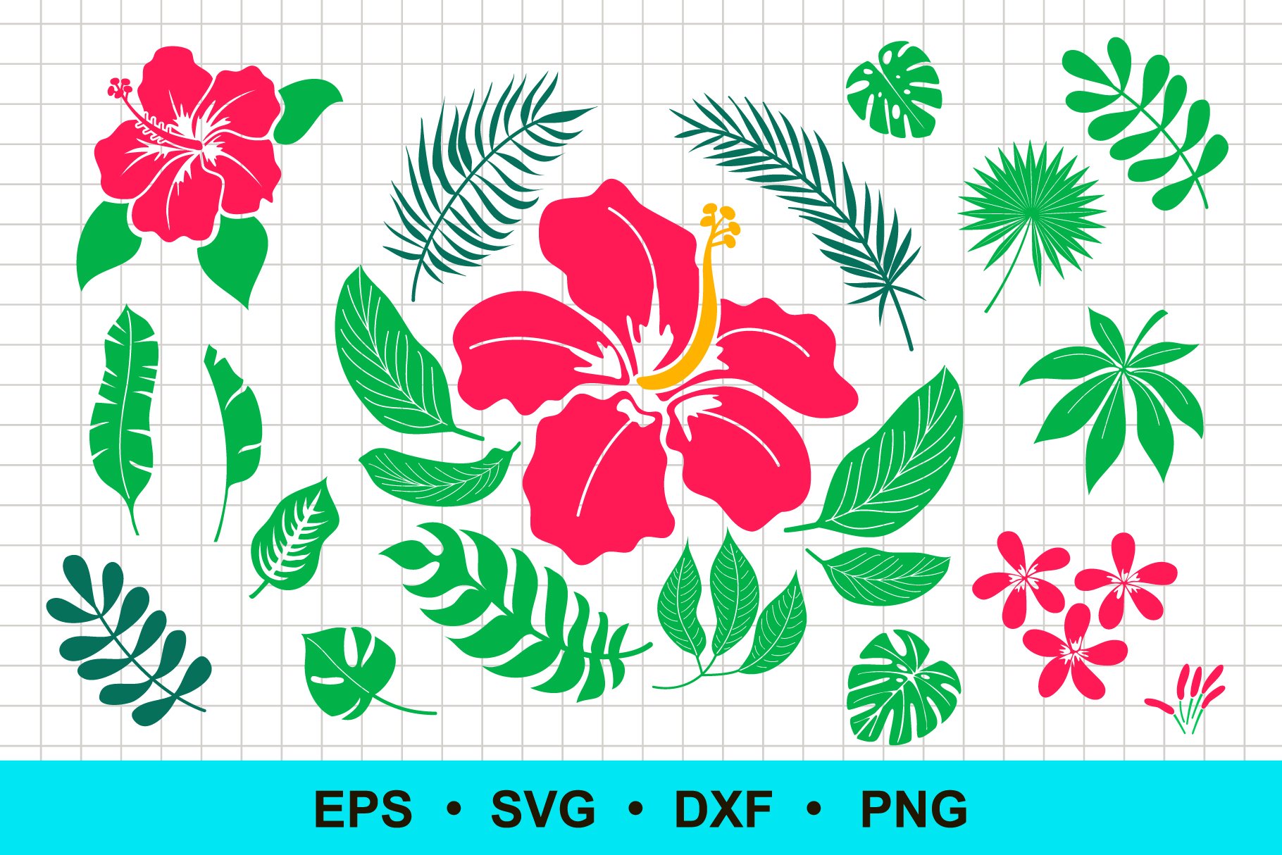 Hibiscus | Tropical leaves | Vector (1325097) | Elements | Design Bundles