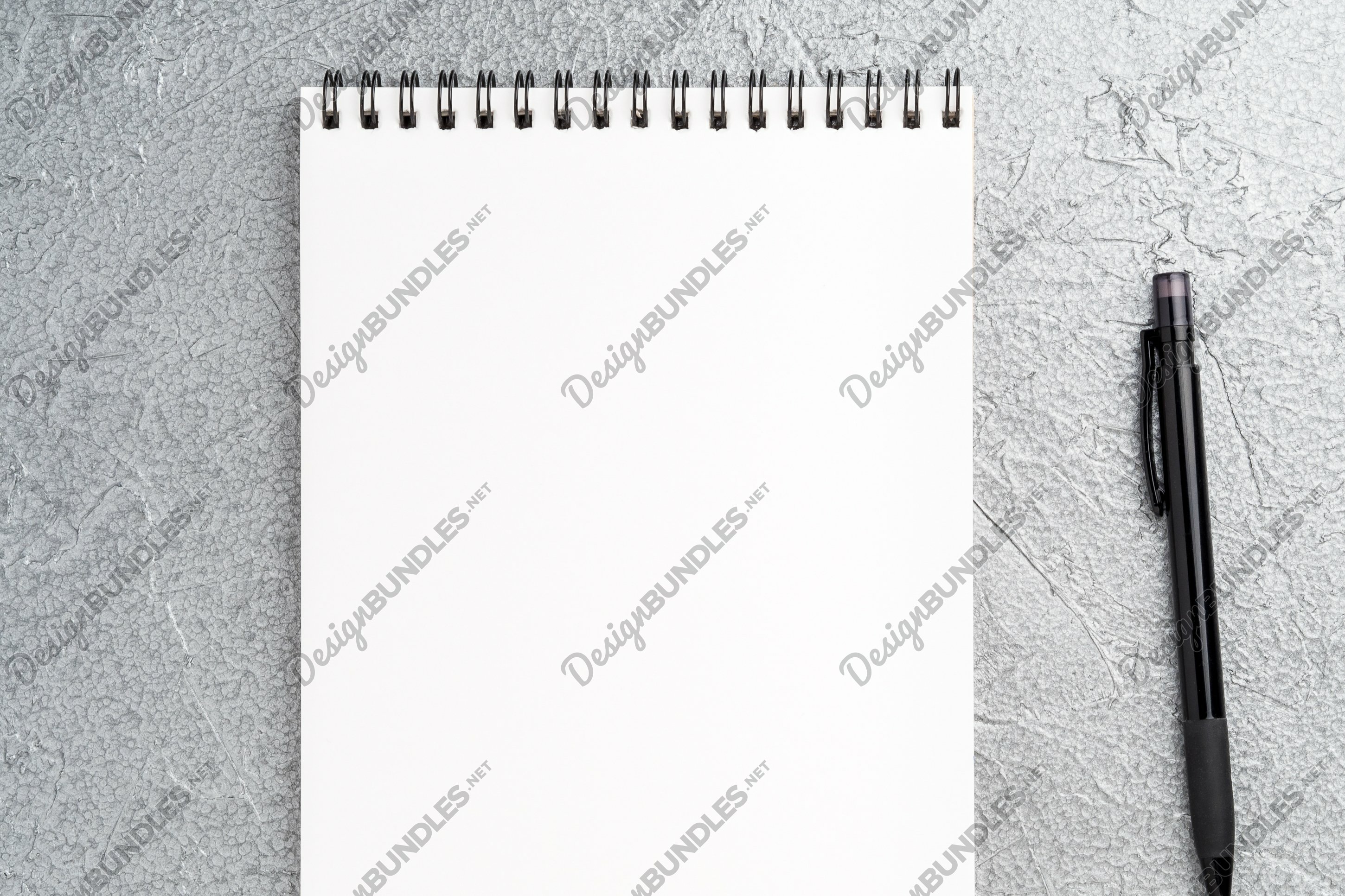 blank sheet of notebook with a spiral (1193108)