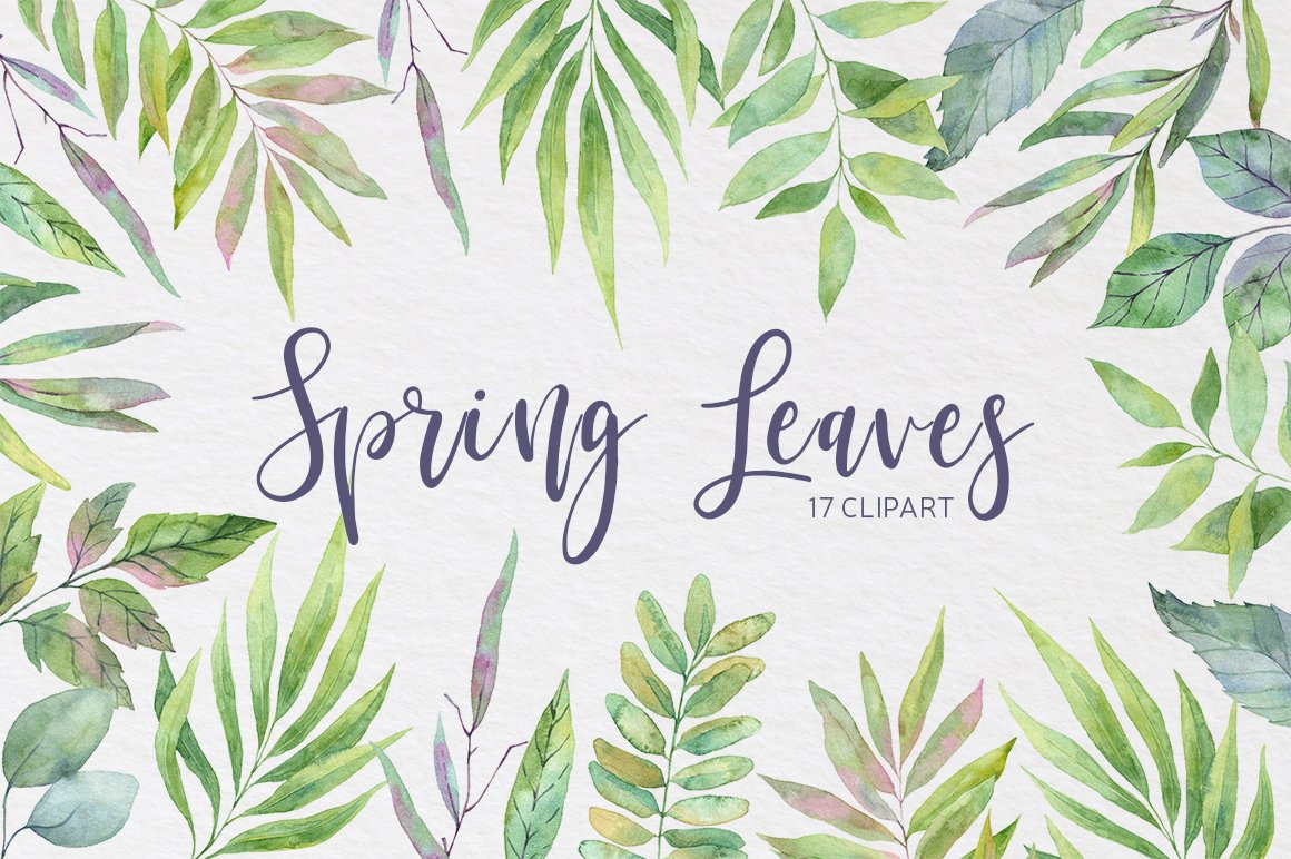 Spring leaves. Floral clipart (30983) | Illustrations | Design Bundles