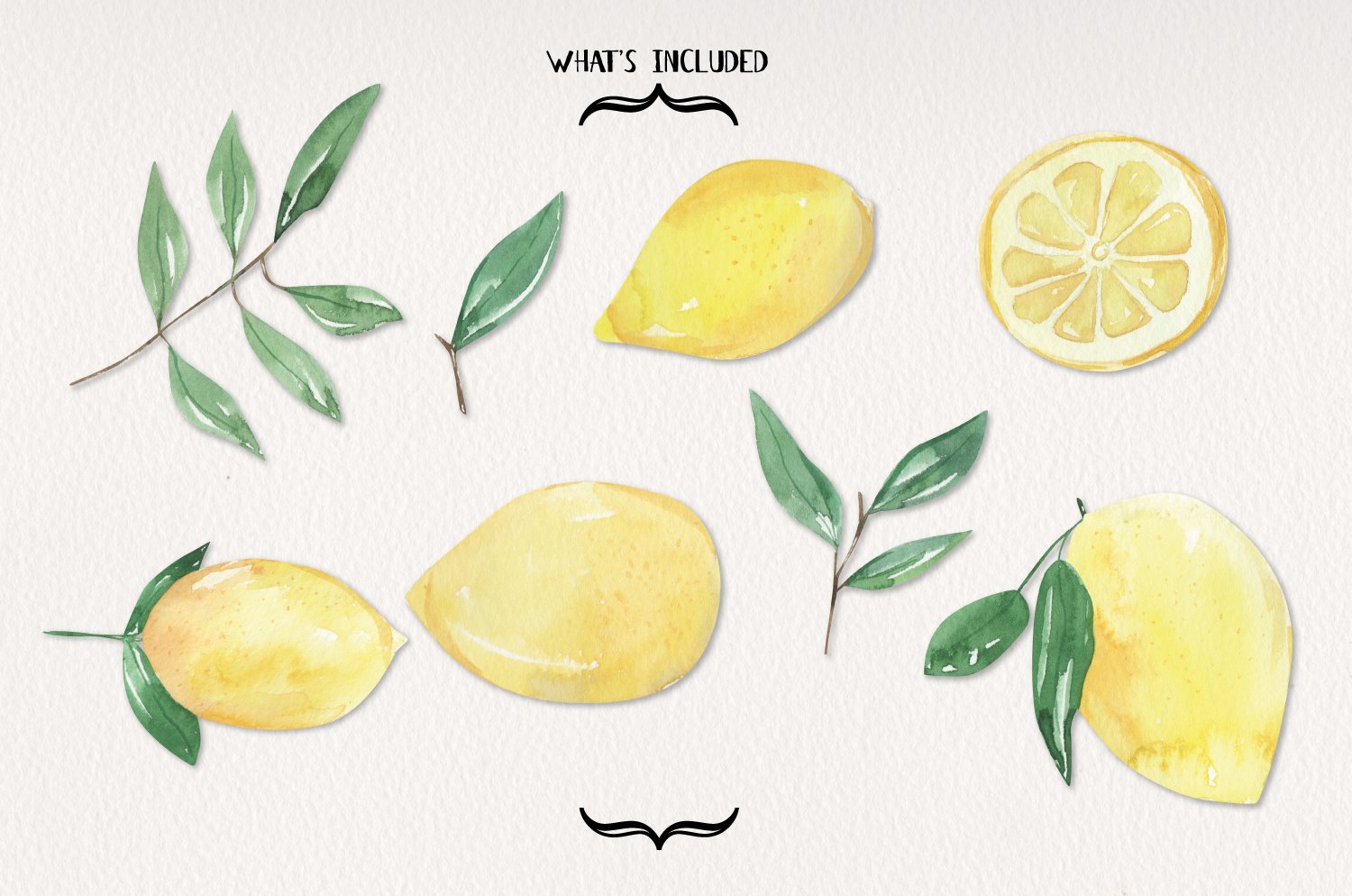Lemons Watercolor Elements Hand Painted Leaves