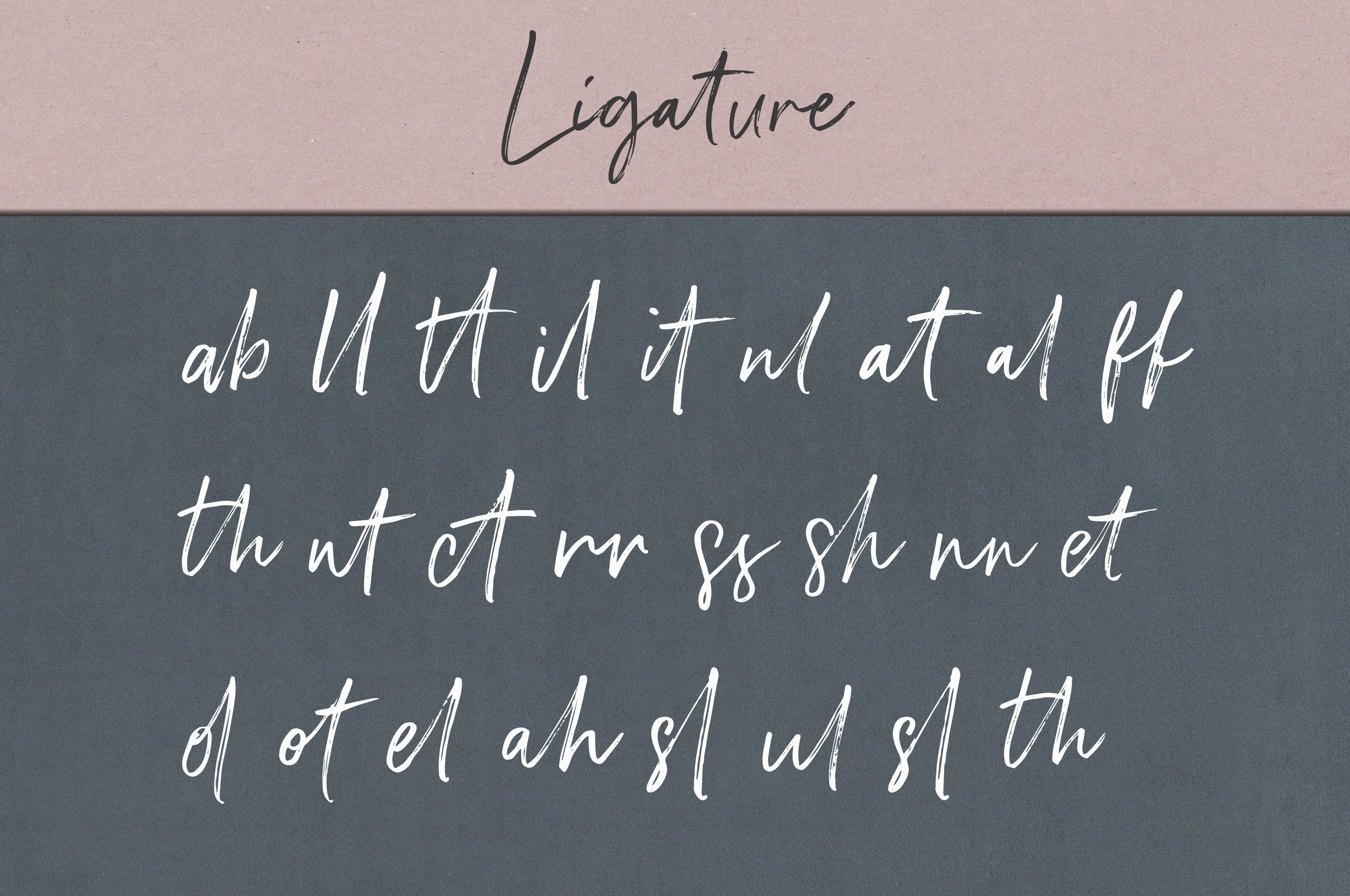 Royal Script (177472) | Script | Font Bundles