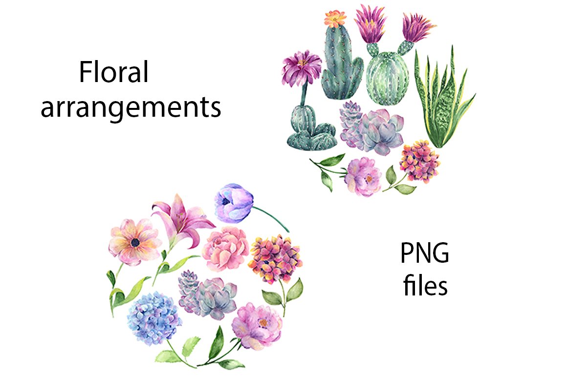 Watercolor Cactus and Flowers Clipart. (307177) | Illustrations ...