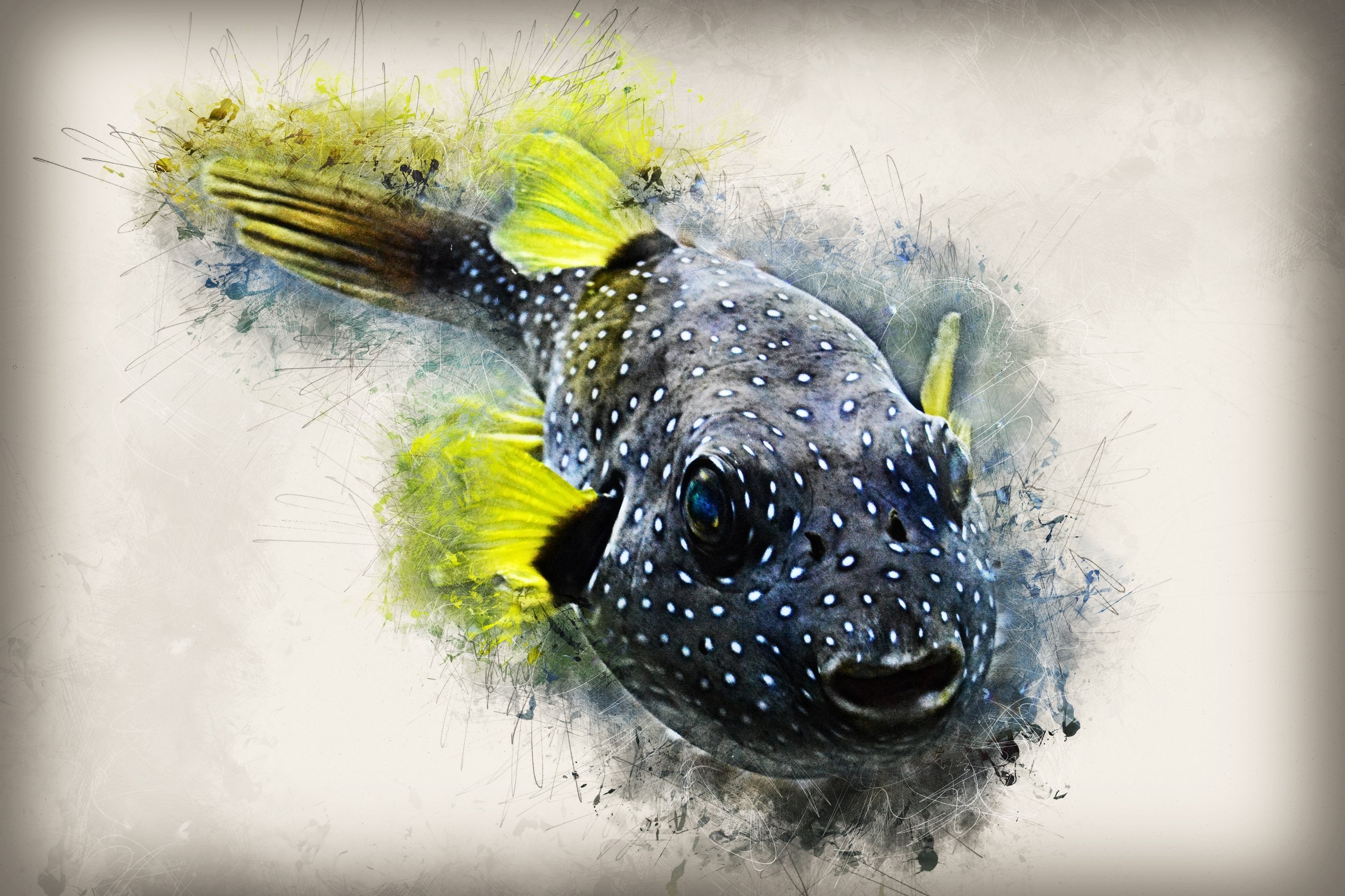 Fish printables in 7 different formats 300 dpi Pack 09 (1237799 ...