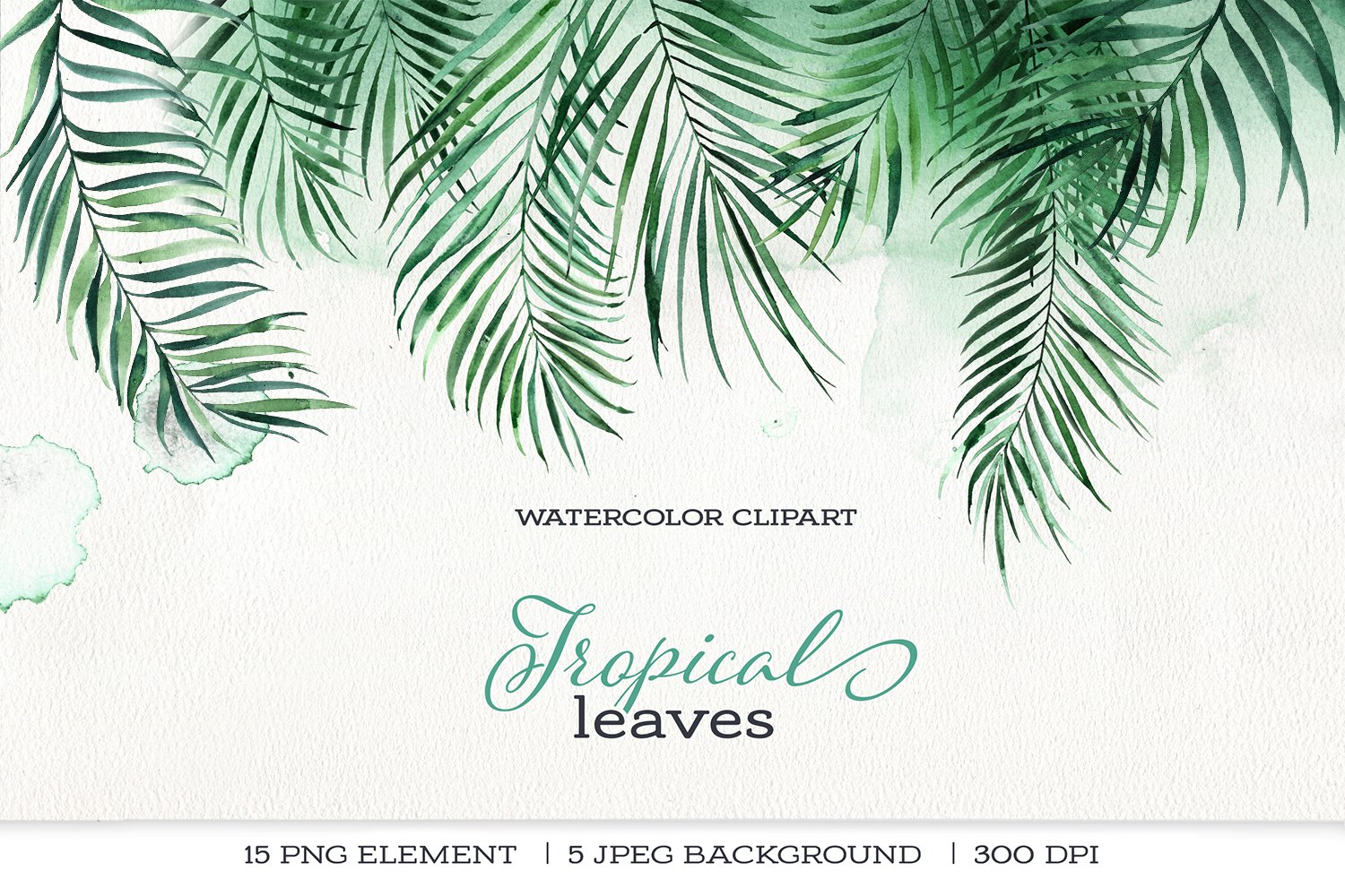 Watercolor clipart palm leaves, jungle, tropical leaves.