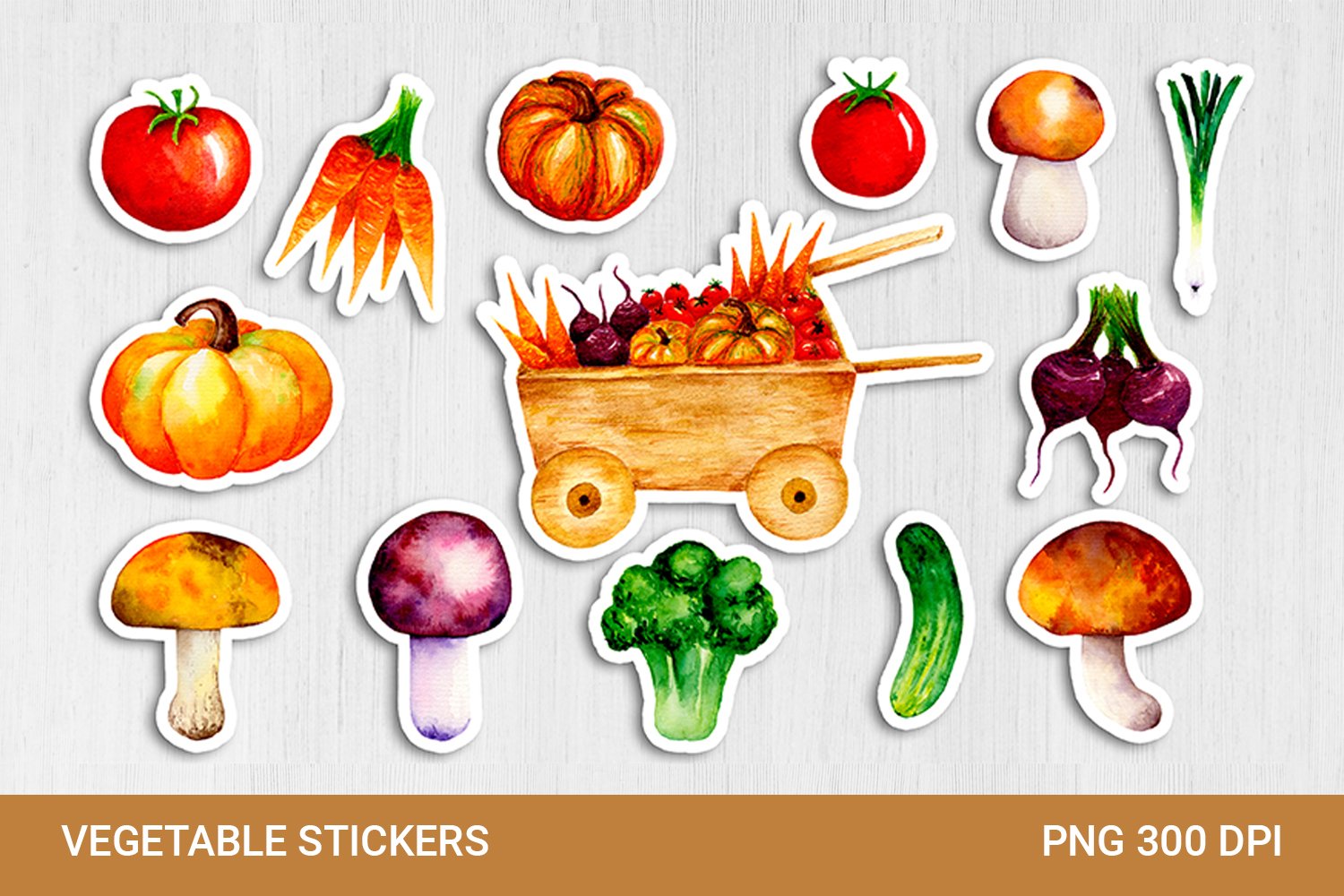 Vegetables Clipart Stickers Bundle