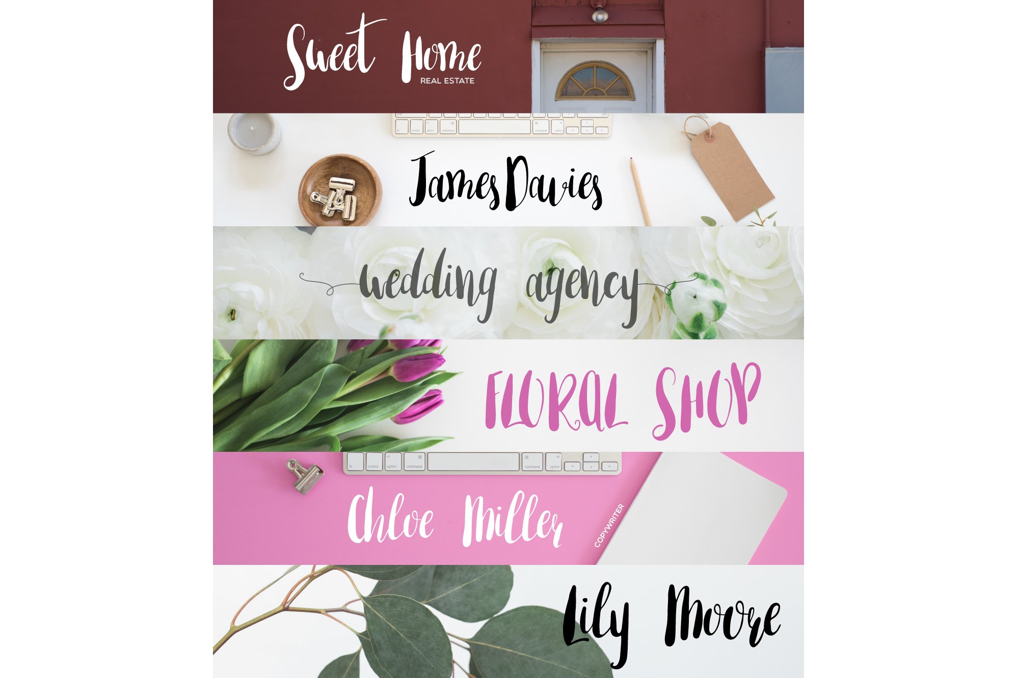 The Amber Light (1455) | Script | Font Bundles