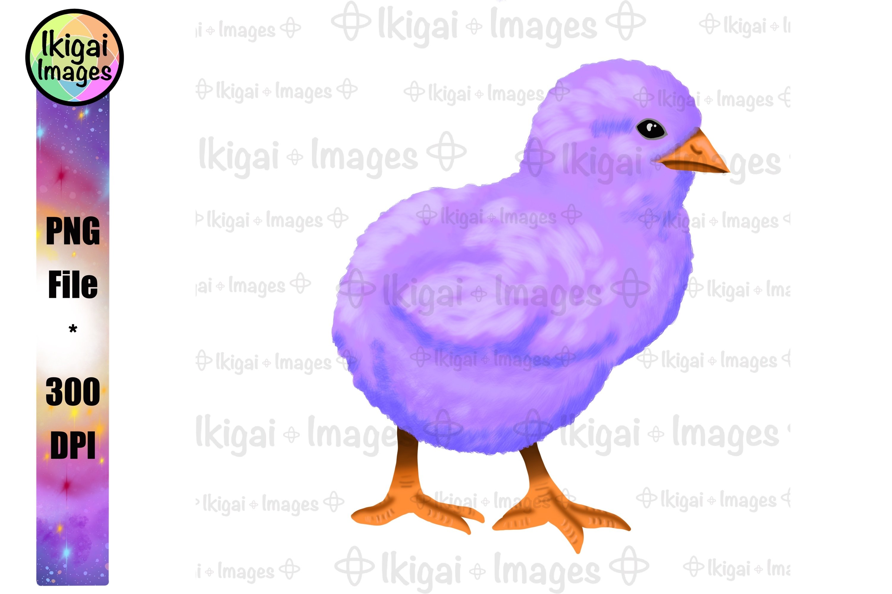 Chicken Bundle, Chicks PNG, Sublimation Designs, DTG Clipart (521862 ...