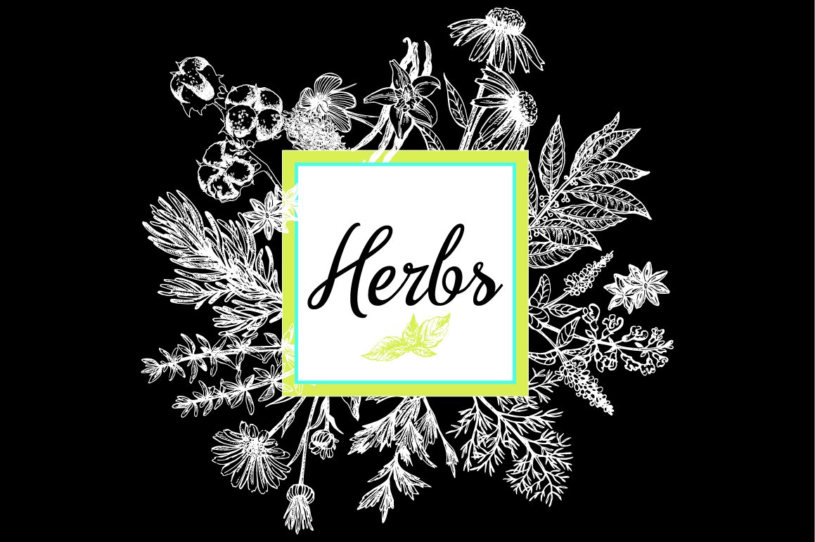 Herbs and Spices (540705) | Illustrations | Design Bundles