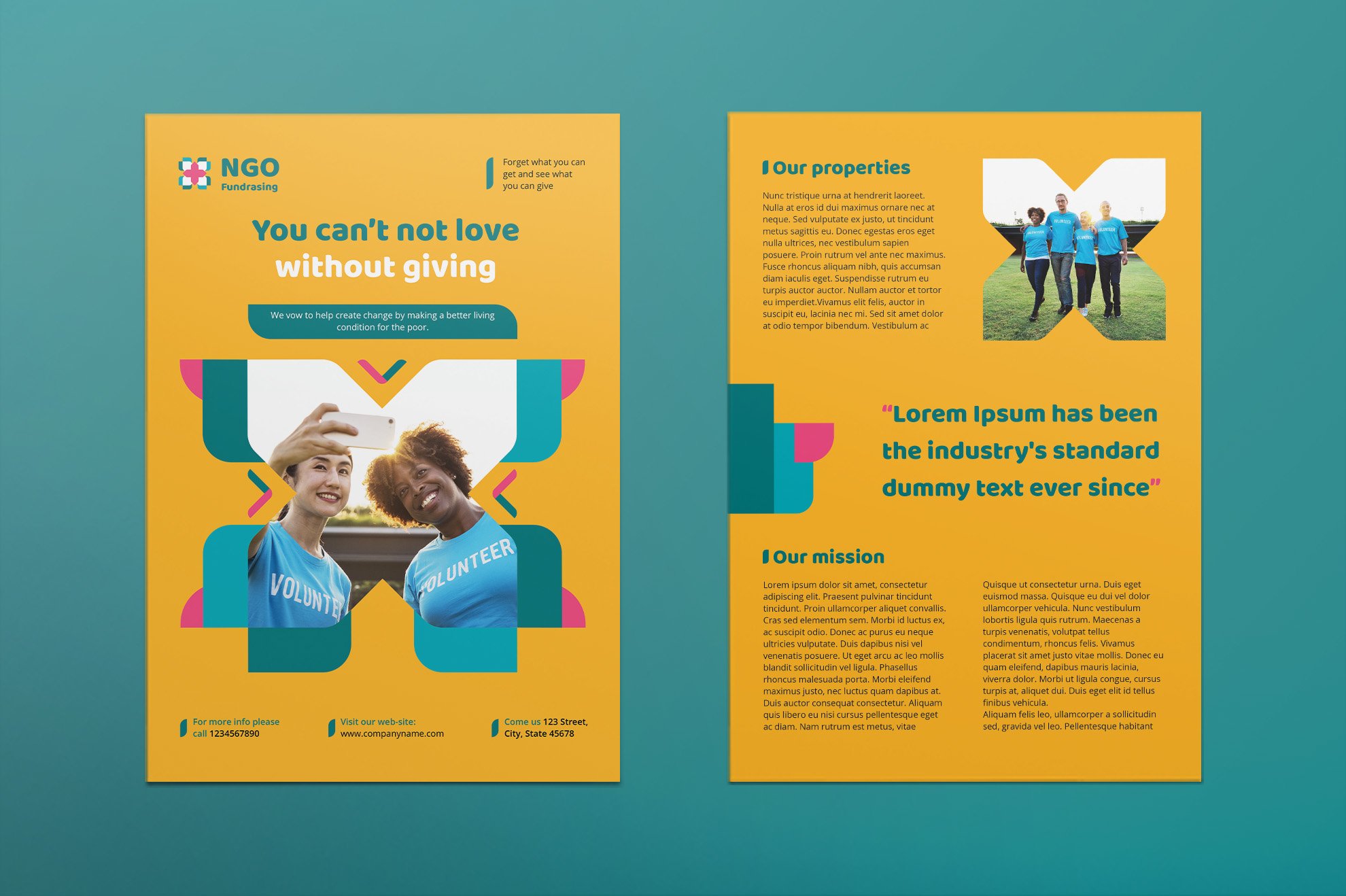NGO Flyer (443105) | Flyers | Design Bundles