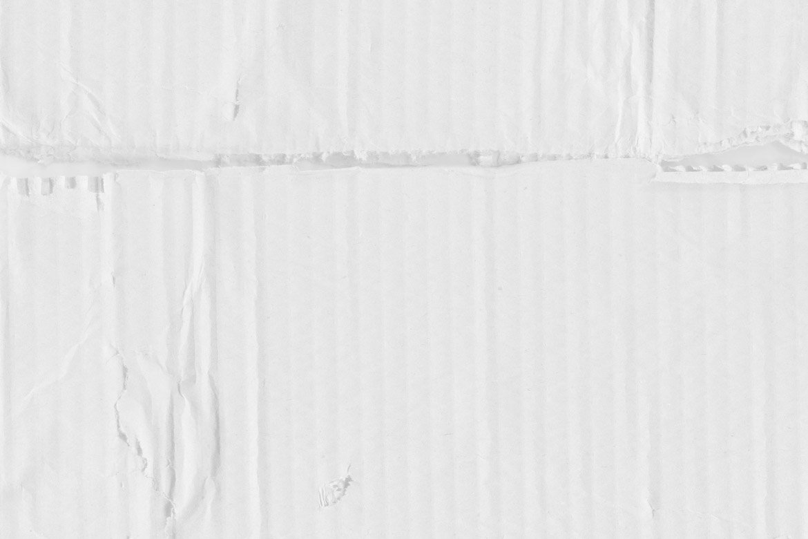 White Cardboard Textures 2 (719265) | Textures | Design Bundles