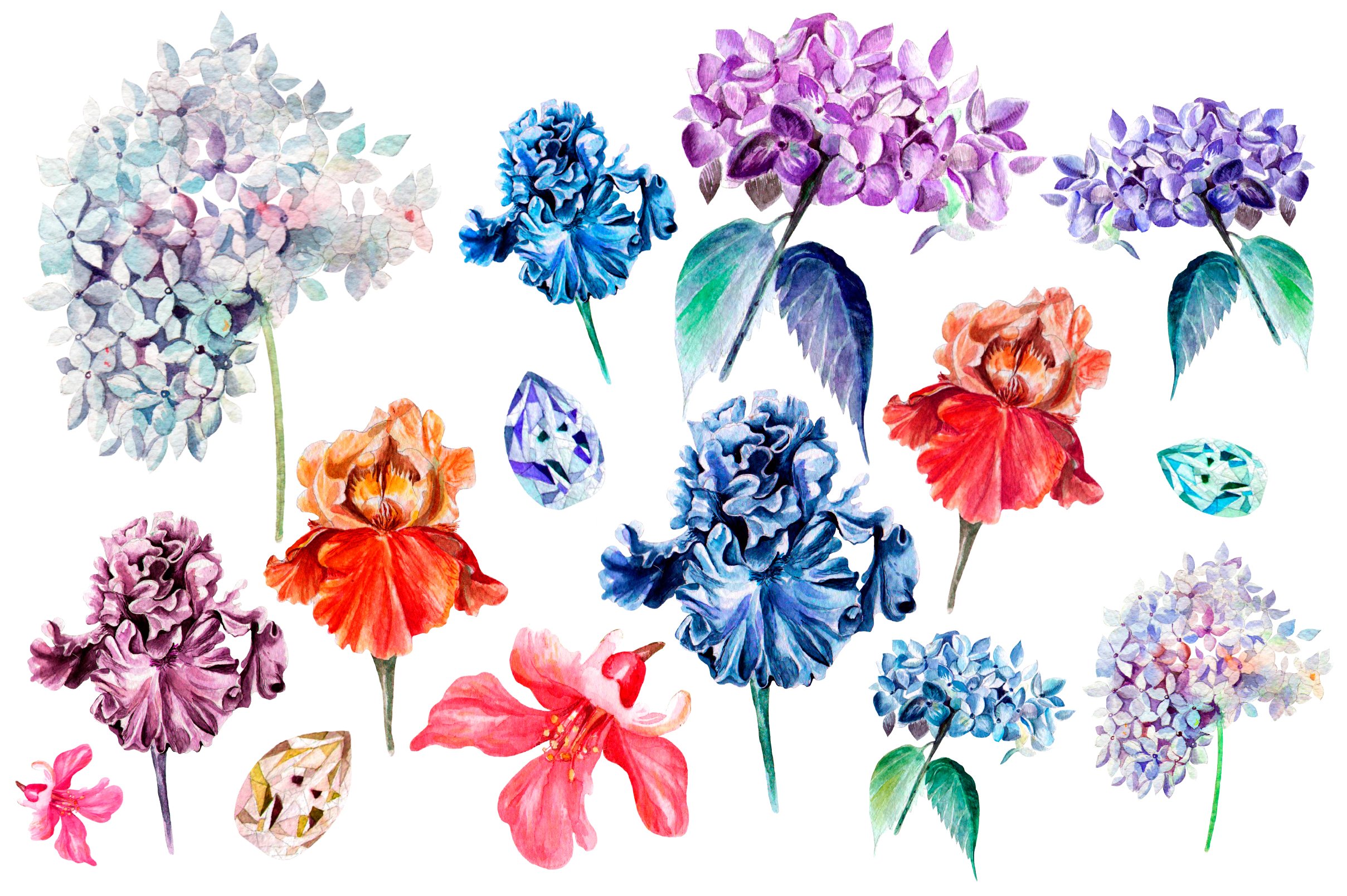 Beautiful watercolor flowers (2954) | Illustrations | Design Bundles