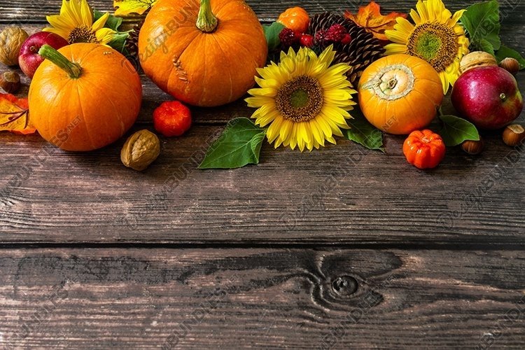 Pumpkins, sunflowers, apples and fallen leaves. (961122) | Conceptual ...