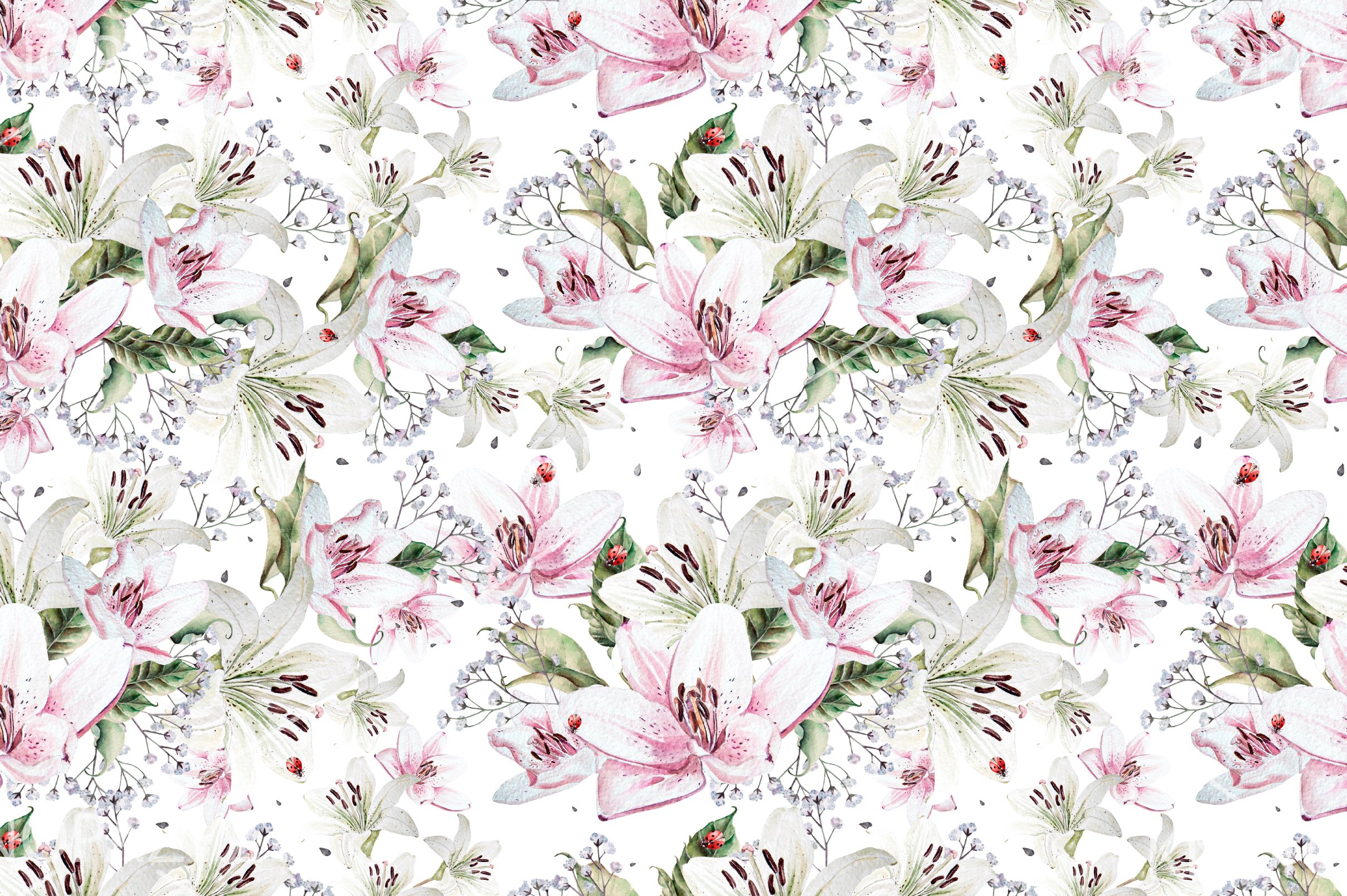 Hand Drawn watercolor flowers lily (14176) | Illustrations | Design Bundles