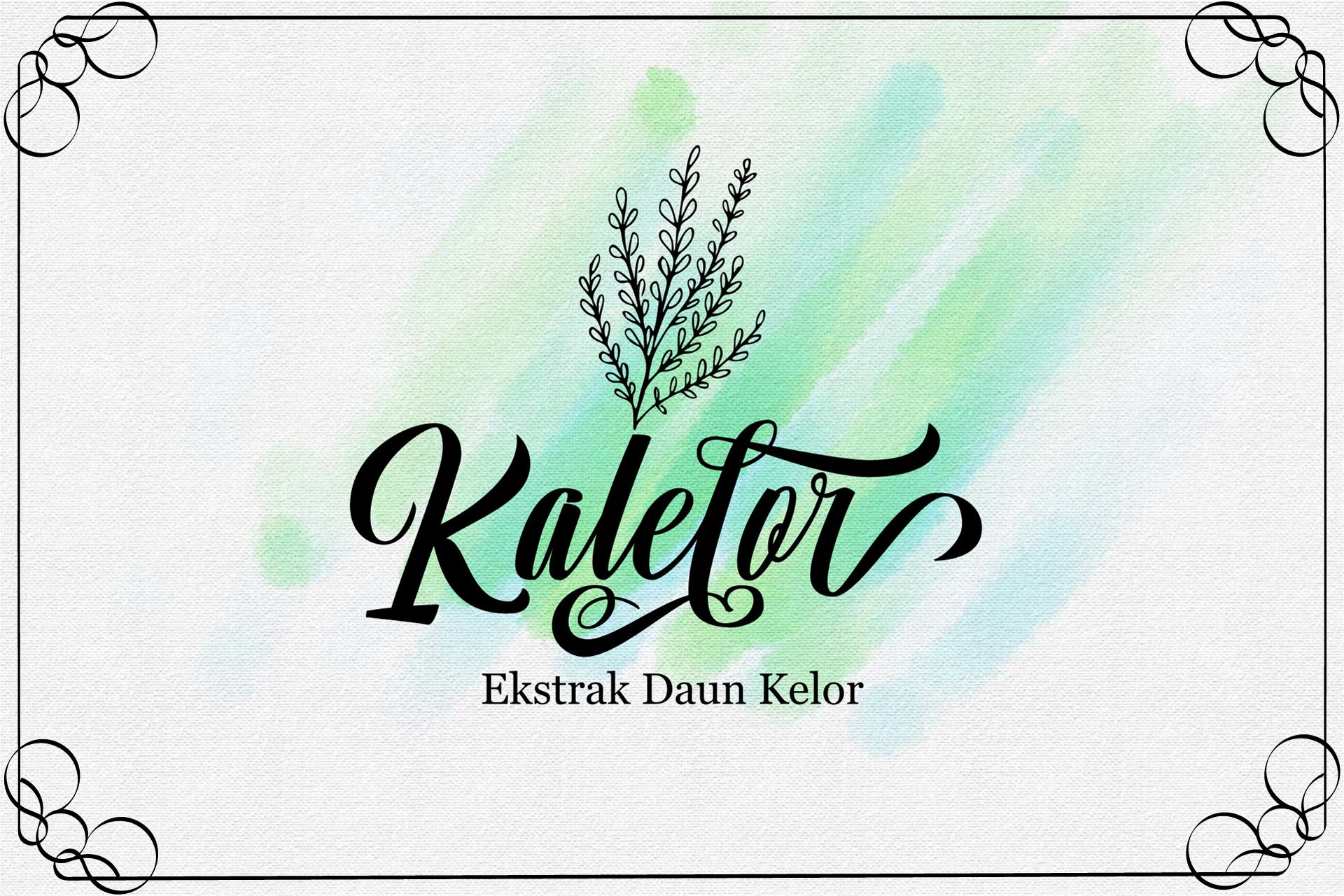 Unimate Script (418958) | Script | Font Bundles