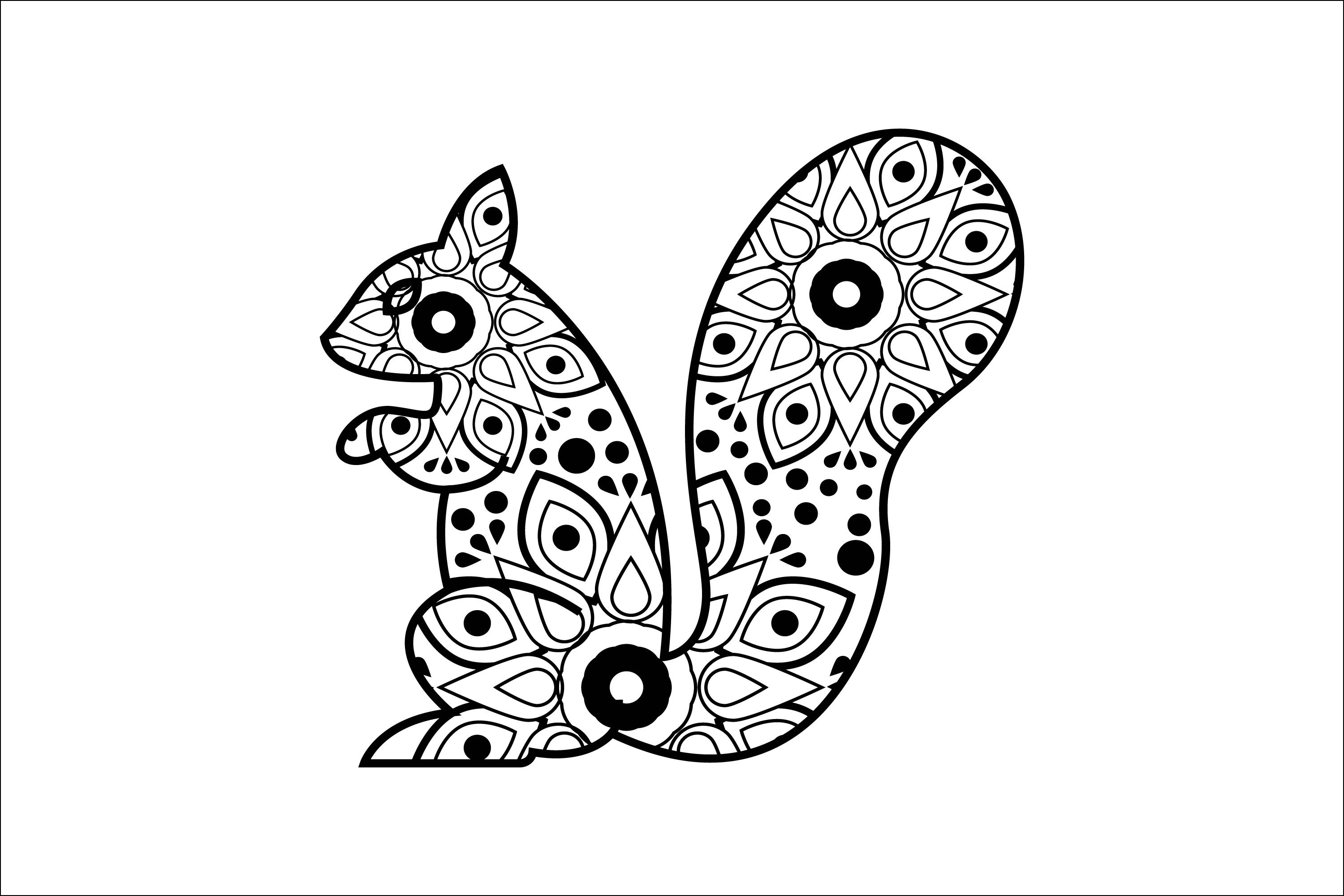 Squirrel Mandalas