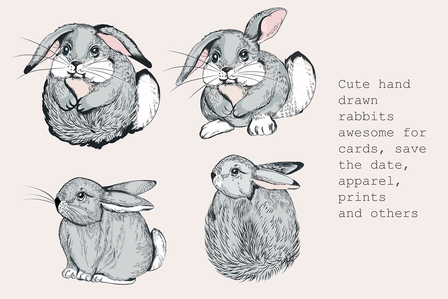 Pretty bunnies vector illustrations set (561658) | Illustrations ...