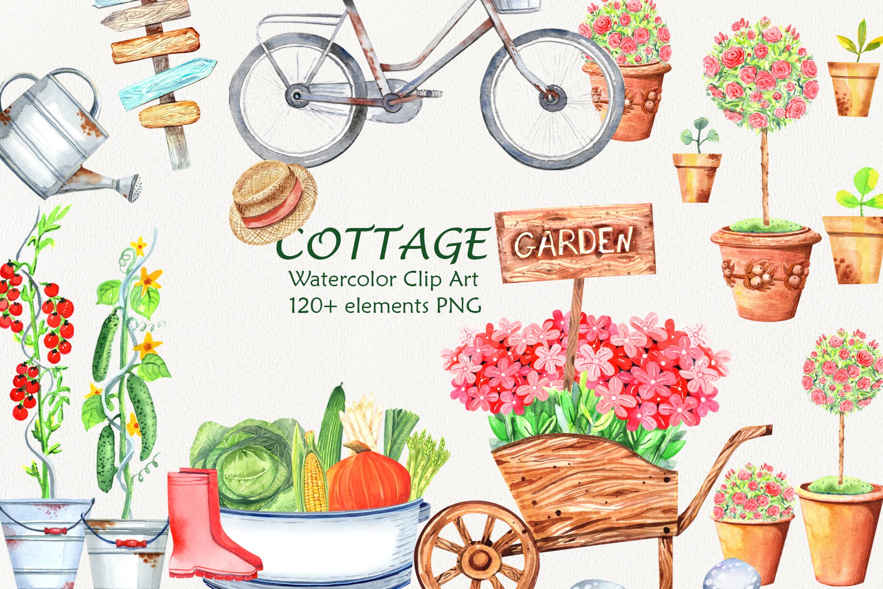 Watercolor COTTAGE GARDEN Clip Art (544583) | Illustrations | Design ...