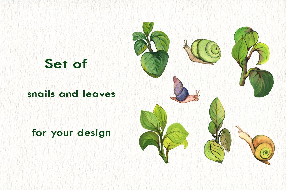 Snails and leaves (733241) | Illustrations | Design Bundles