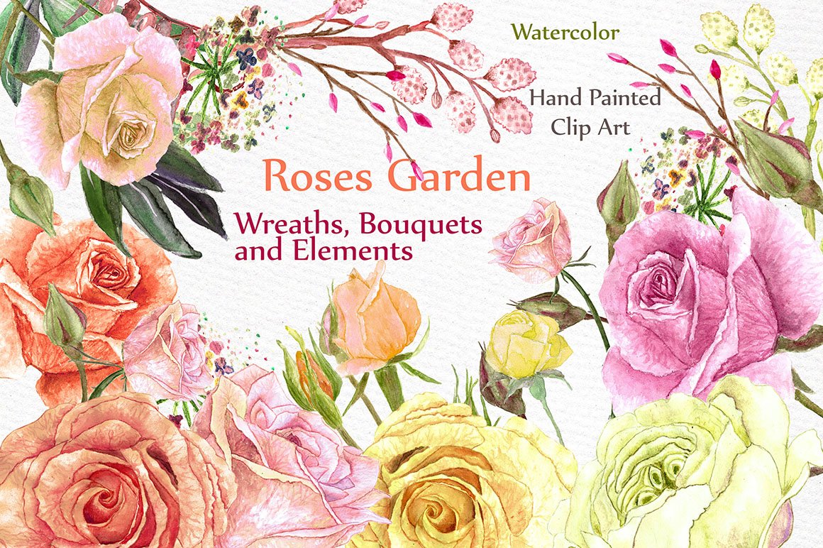 Watercolor roses clipart (23293) | Illustrations | Design Bundles
