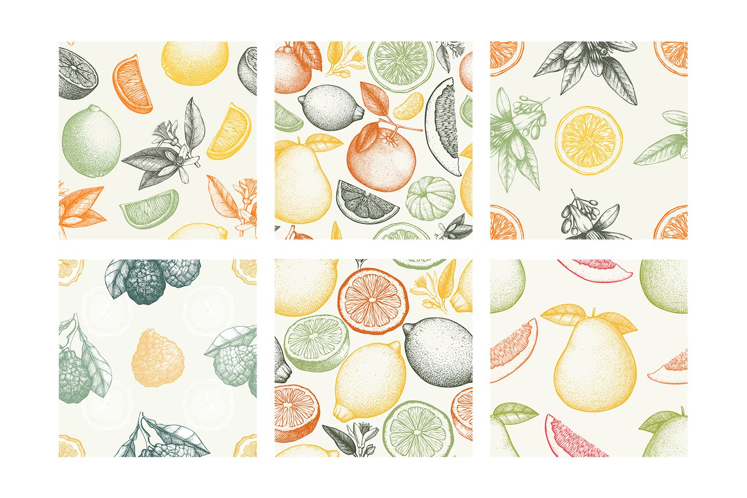 Citrus Fruits Patterns Collection (738014) | Patterns | Design Bundles