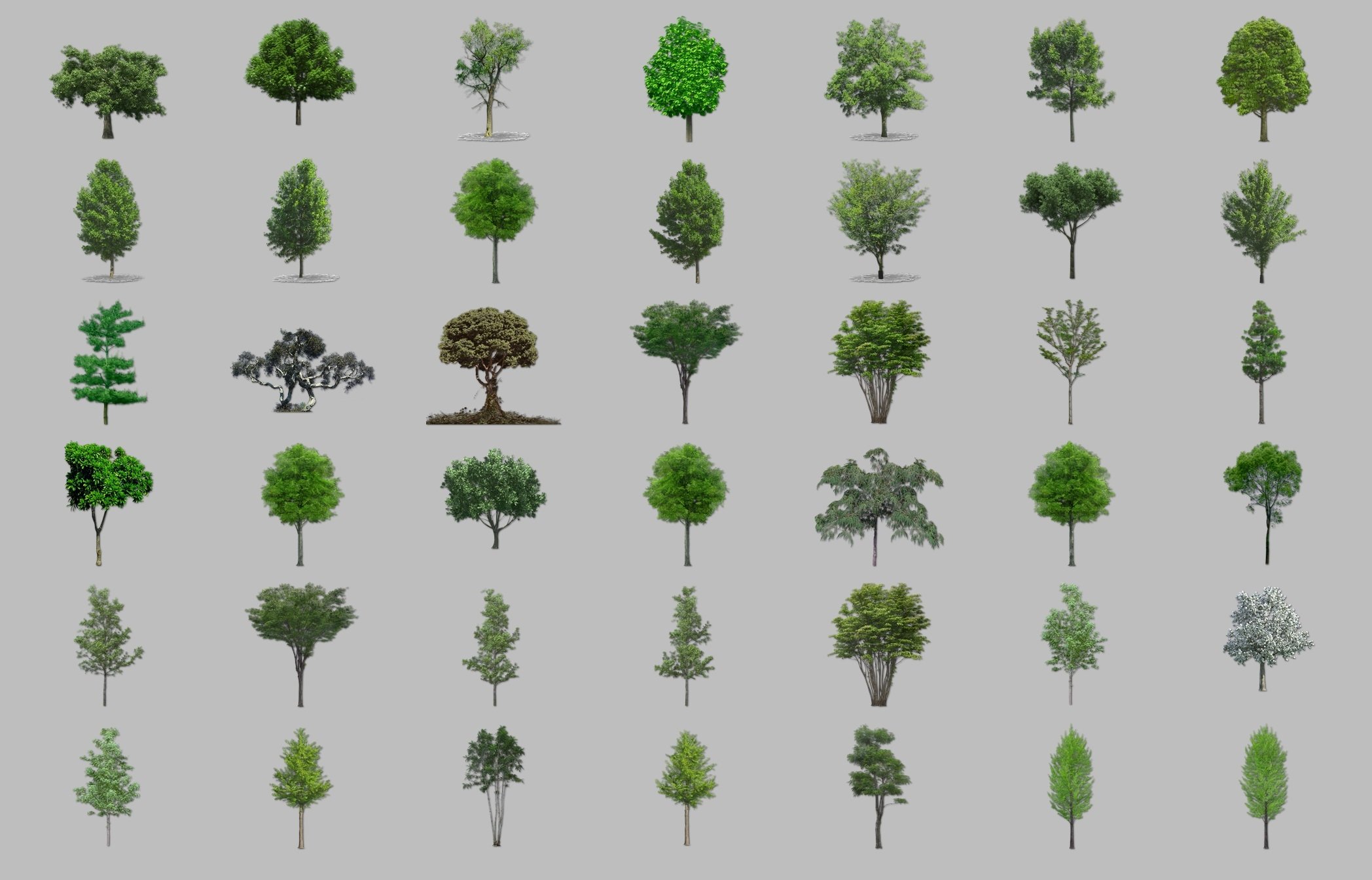 200 TREES PNG PHOTOSHOP OVERLAYS, BACKGROUNDS, BACKDROPS (532553 ...